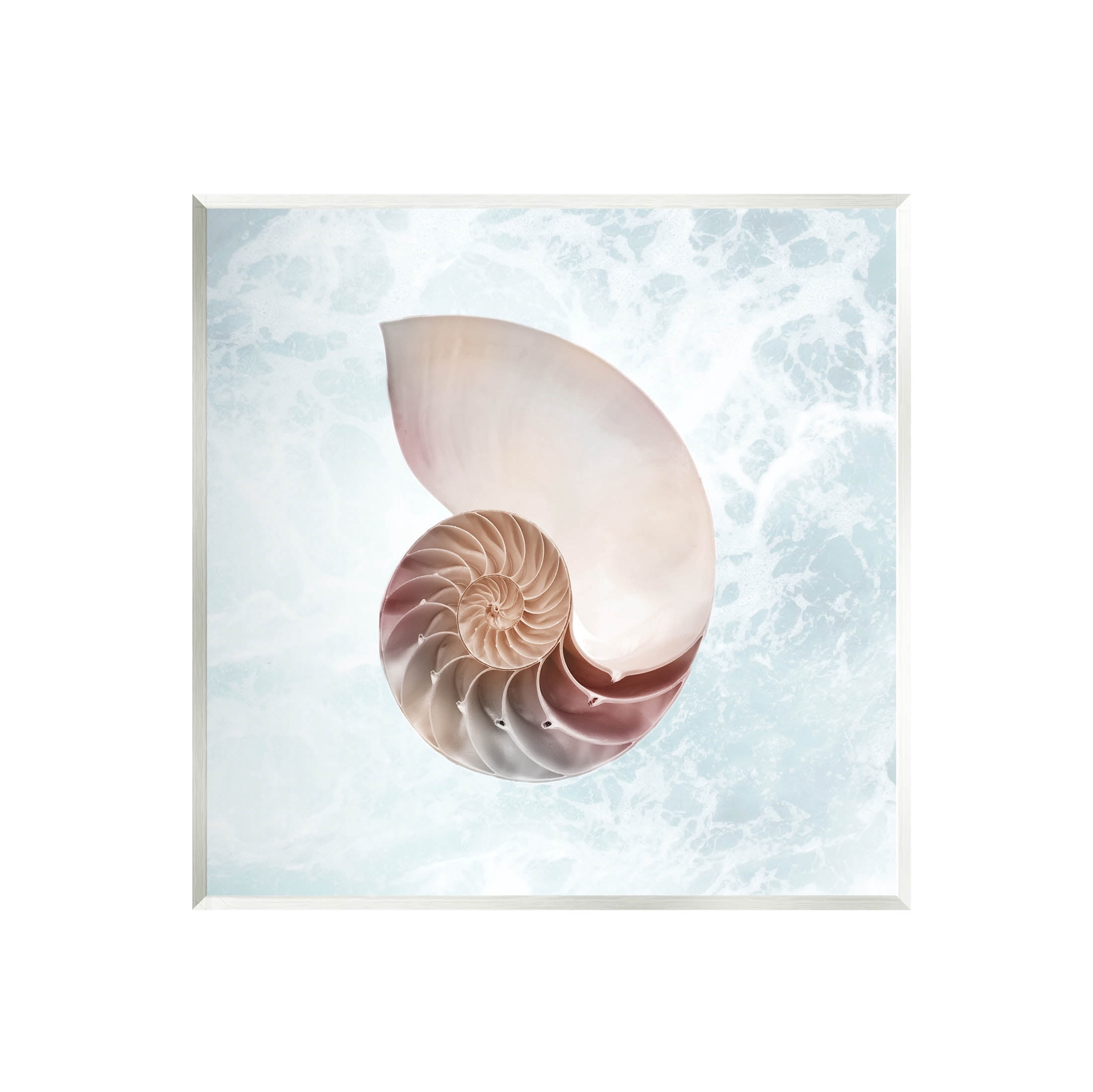 Stupell Industries Nautical Seashell Art Print by Marcus Prime, 12 x 12 ...