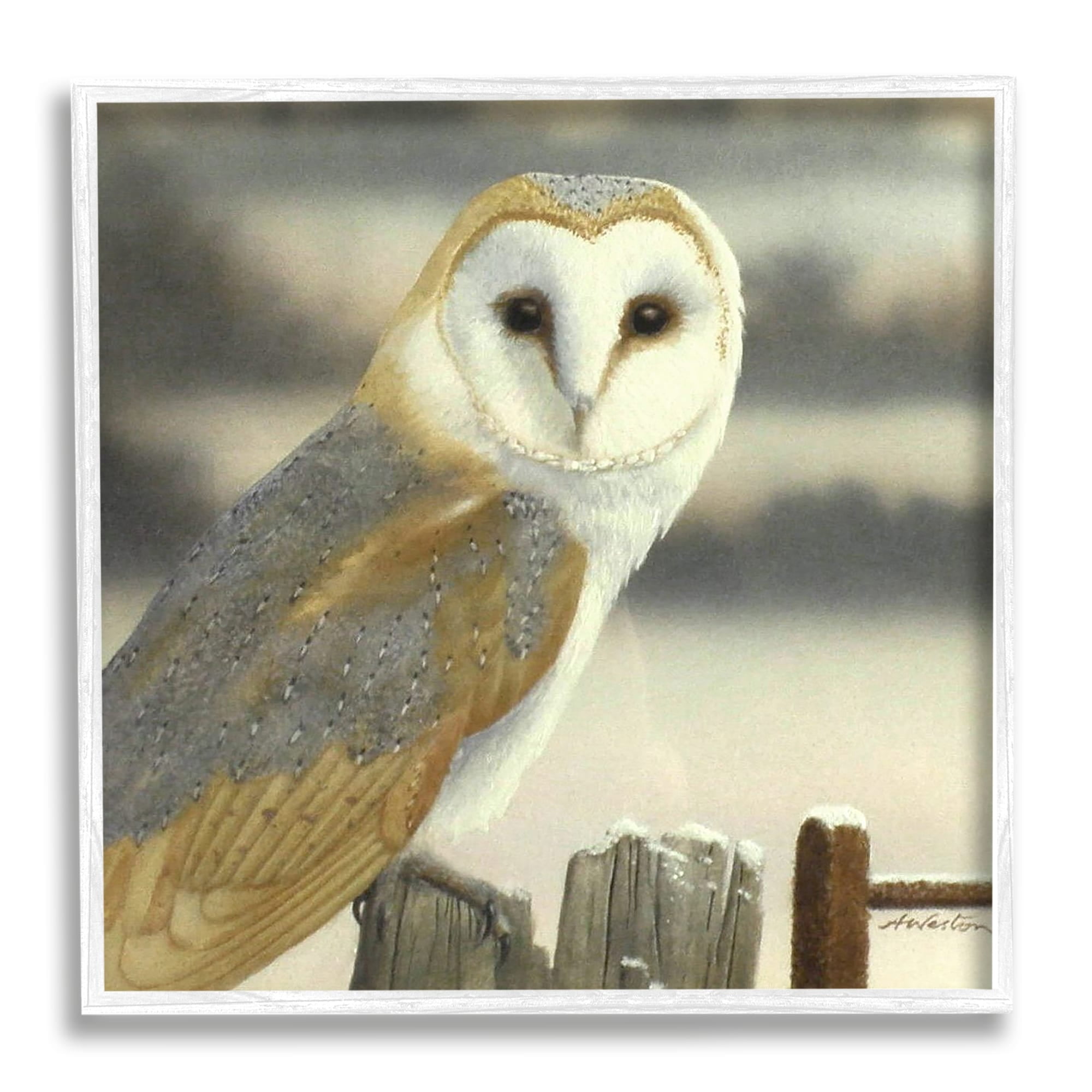 Stupell Industries Barn Owl Gazing Perched Niveous Rural Fence Painting ...