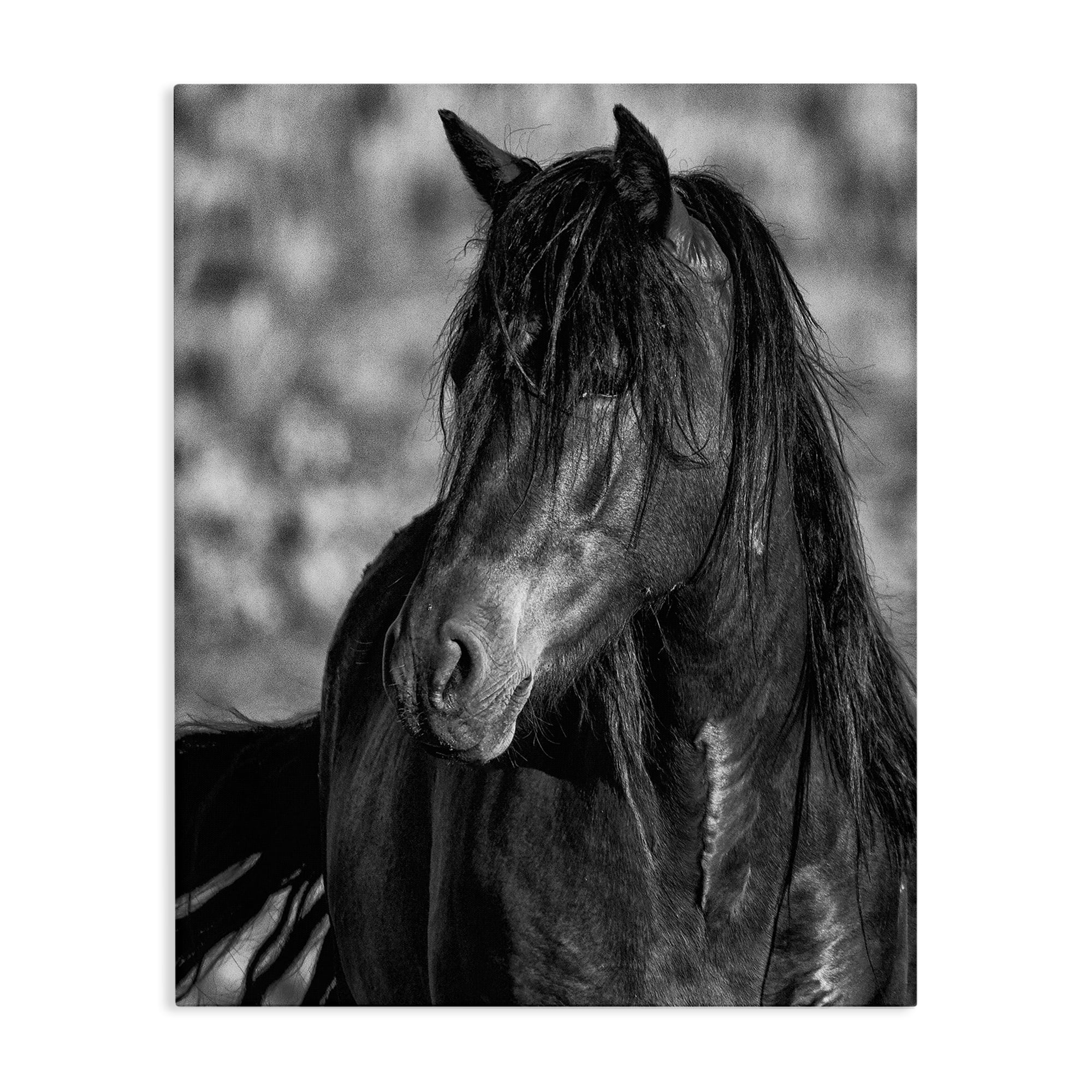 Stupell Industries Beauty In Black Canvas Wall Art, design by Tim West ...