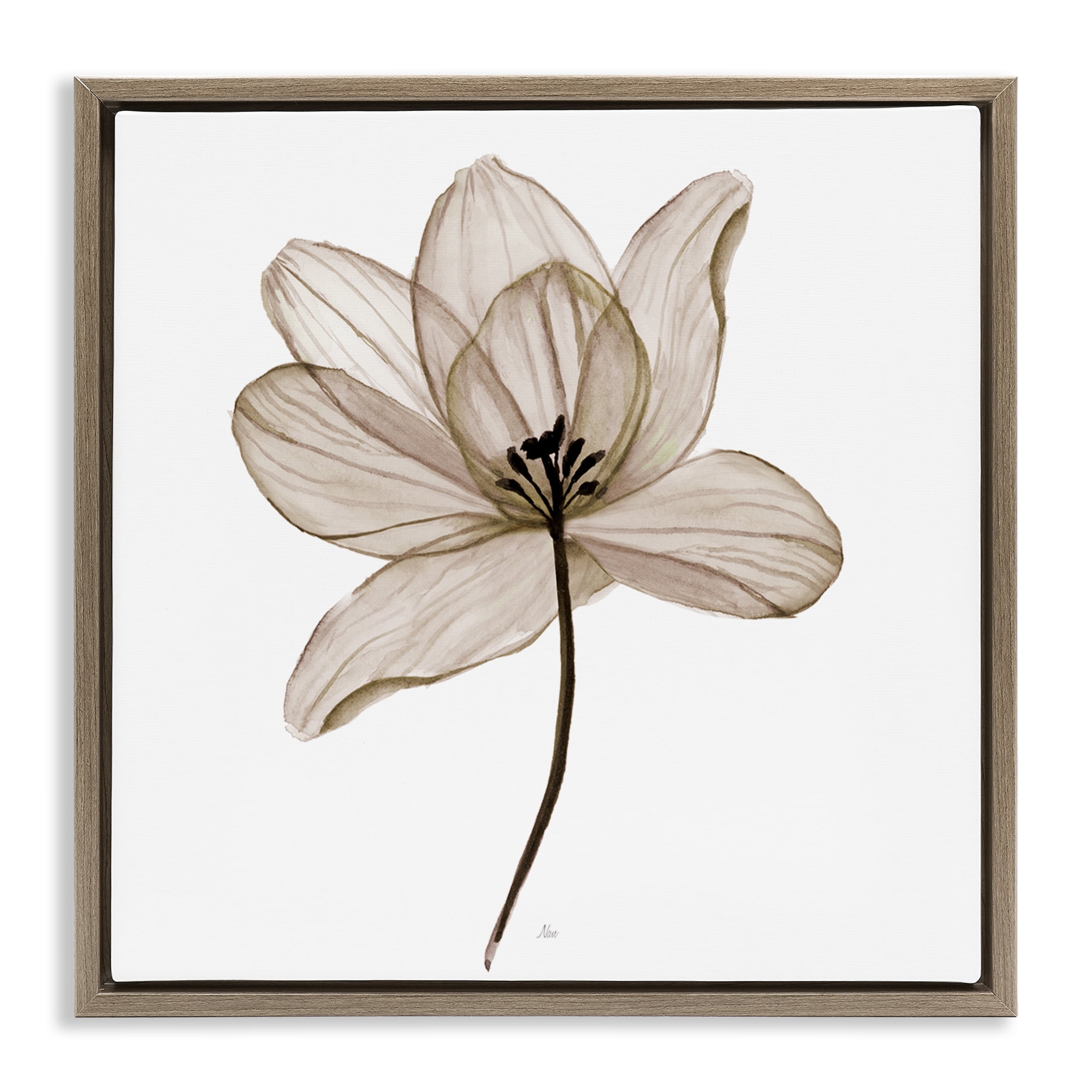 Stupell Industries Beige Opaque Flower Plants & Flowers Painting Brown ...