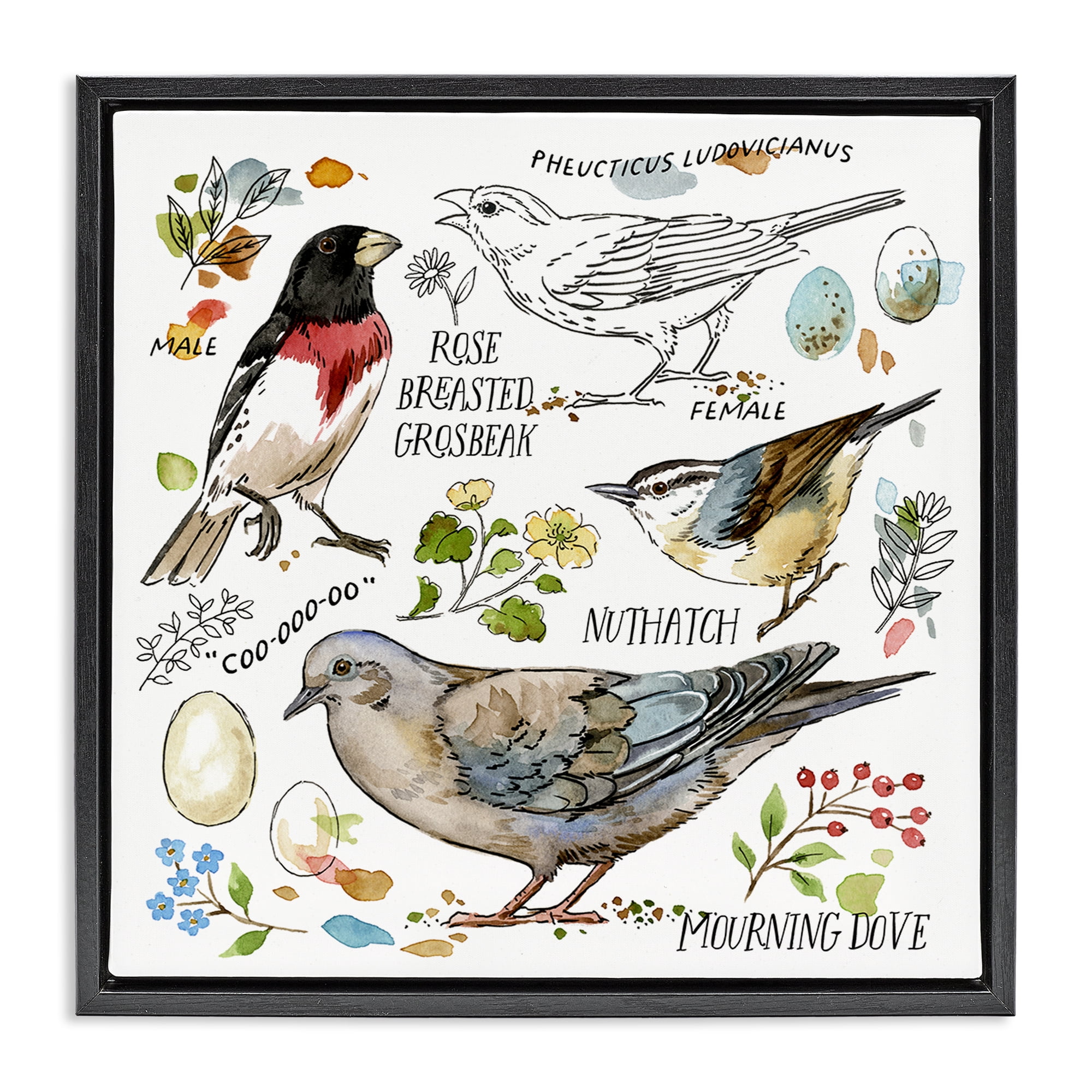 Stupell Industries Bird Watching Diagram Animals Painting Black Floater ...