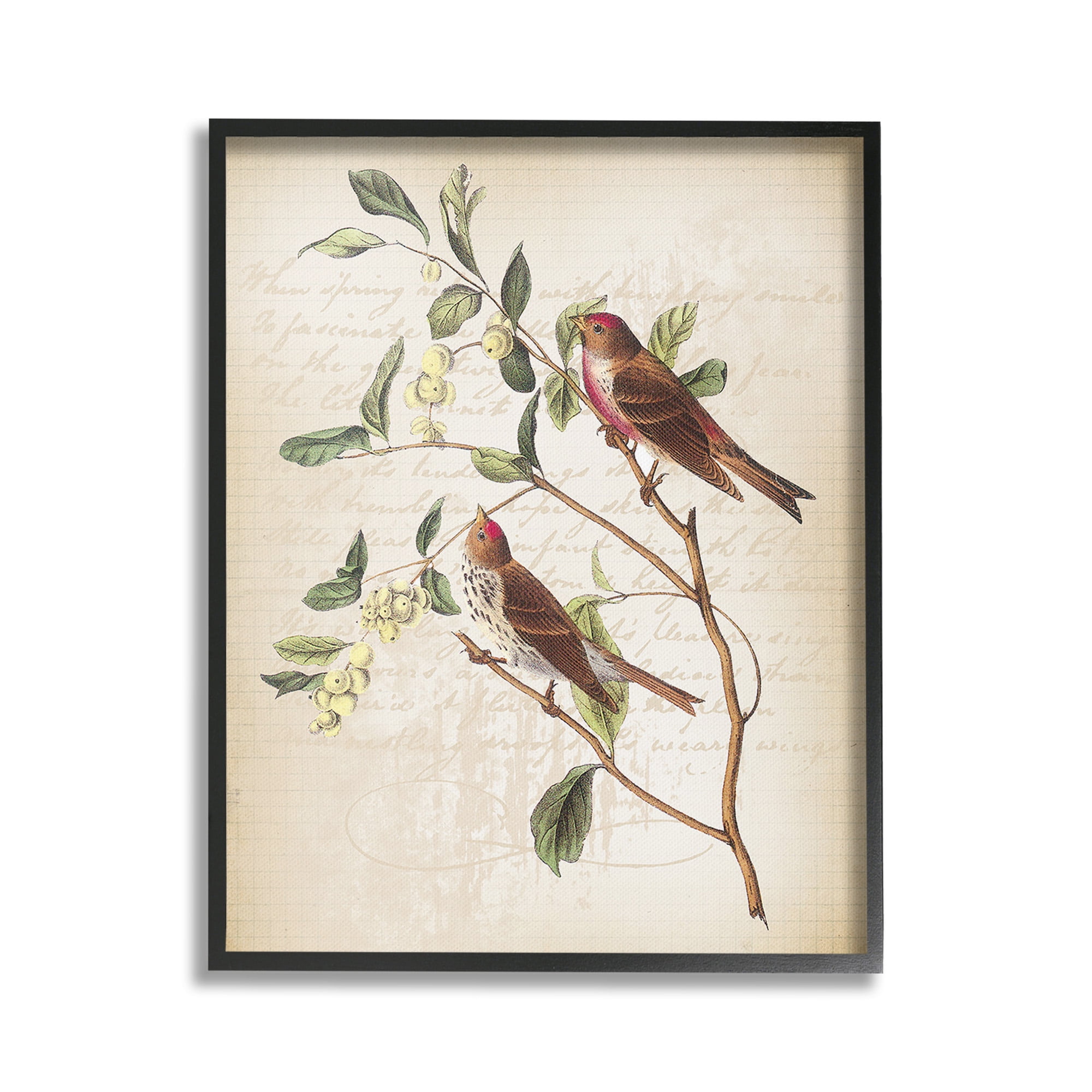 Stupell Industries Birds Cursive Framed Art Print - Walmart.com
