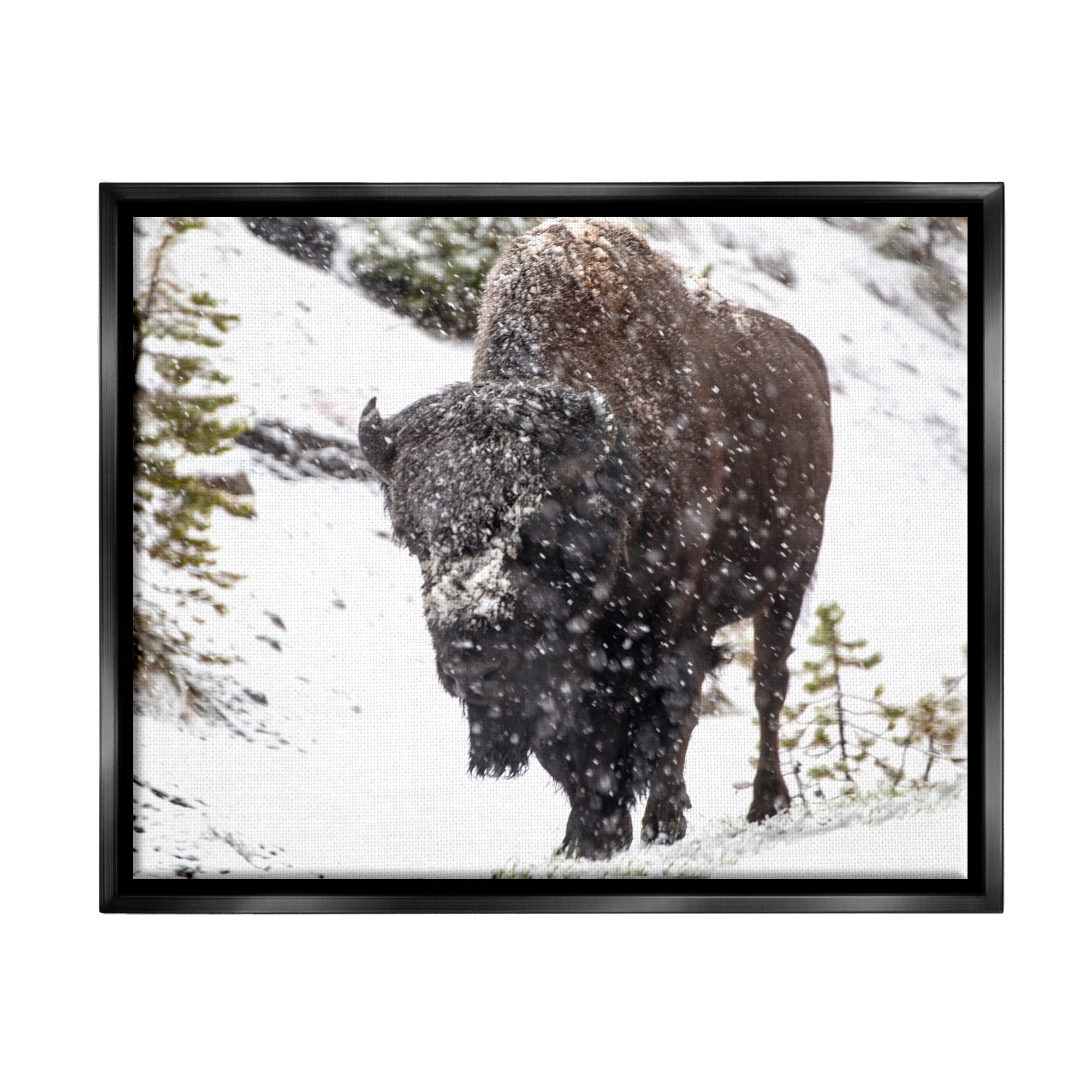 Stupell Industries Bison in Windblown Snow Animals & Insects ...