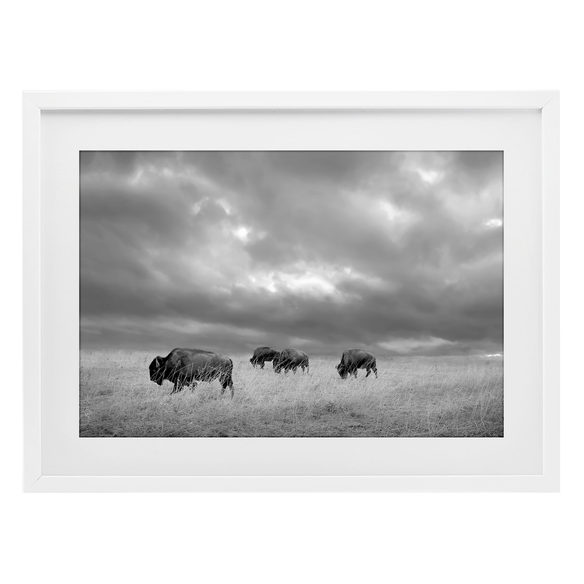 Stupell Industries Bisons Under an Autumn Sky White Framed Print Under ...