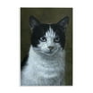 FrameToWall - Fat Cat Capsizing 29x15 Framed Art Print by Watherwax ...