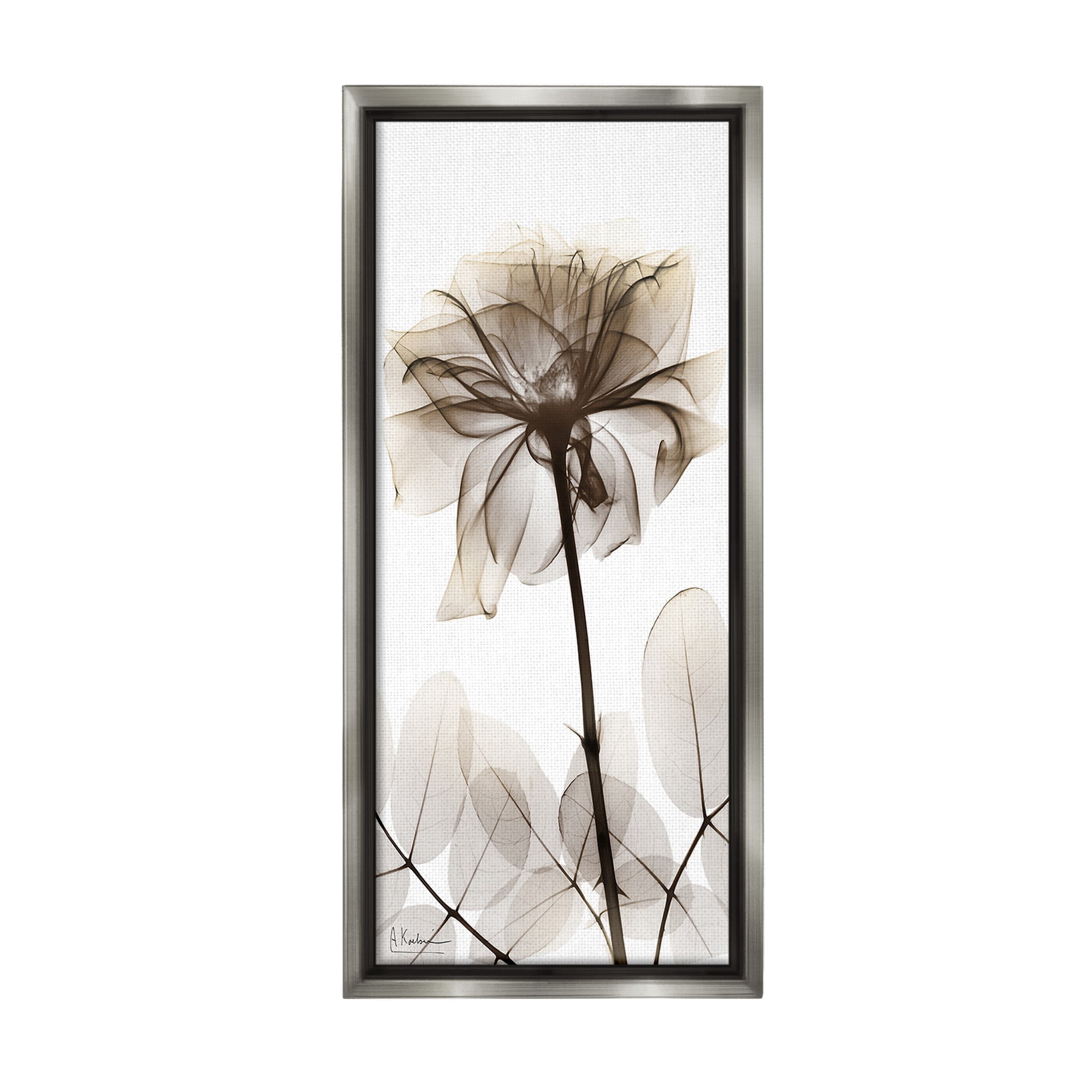 Stupell Industries Blooming Opaque Flower Botanical & Floral ...