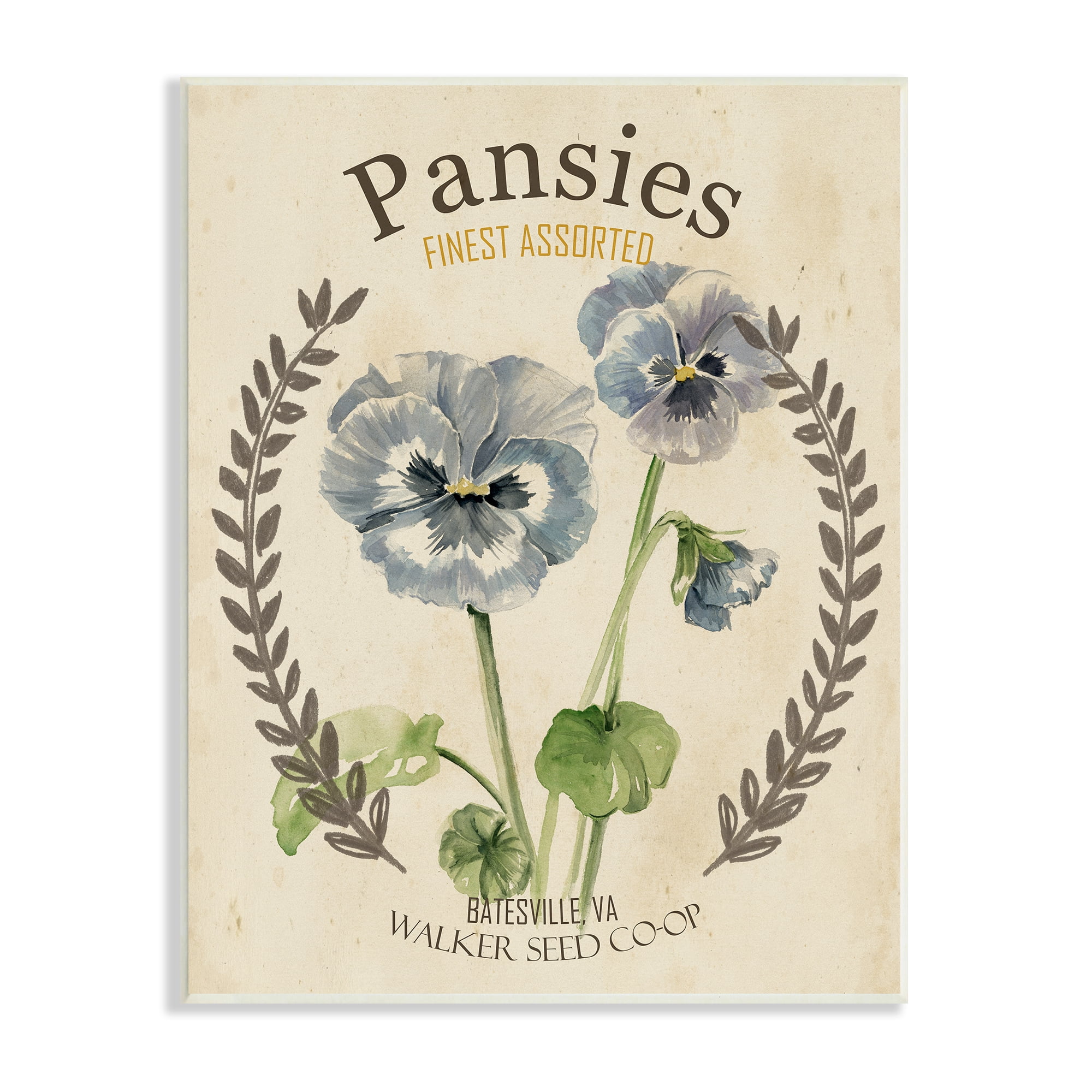 Stupell Industries Blue Assorted Pansies Vintage Floral Seed Packet, 13 ...