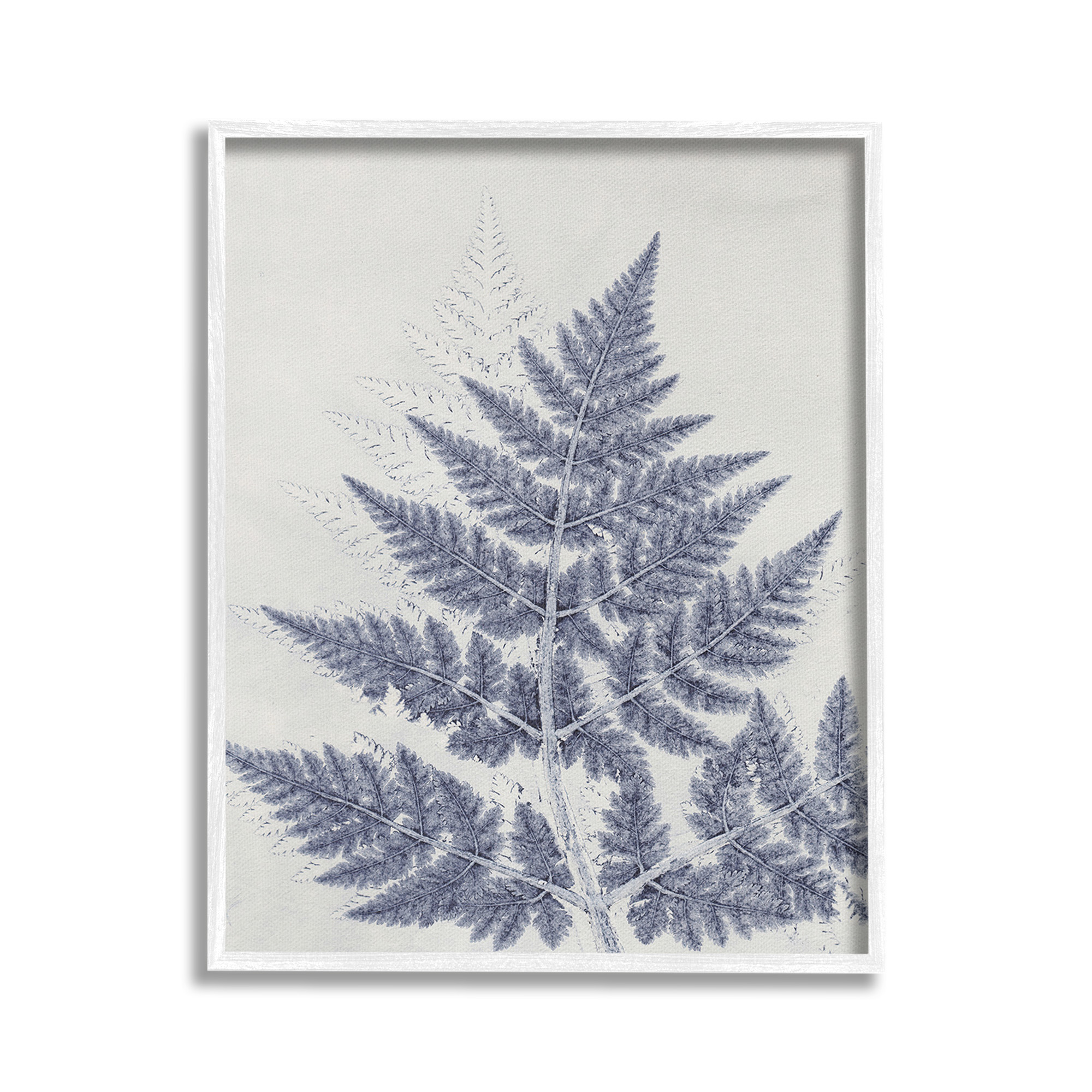 Stupell Industries Blue Fern Imprint Botanical & Floral Painting White ...