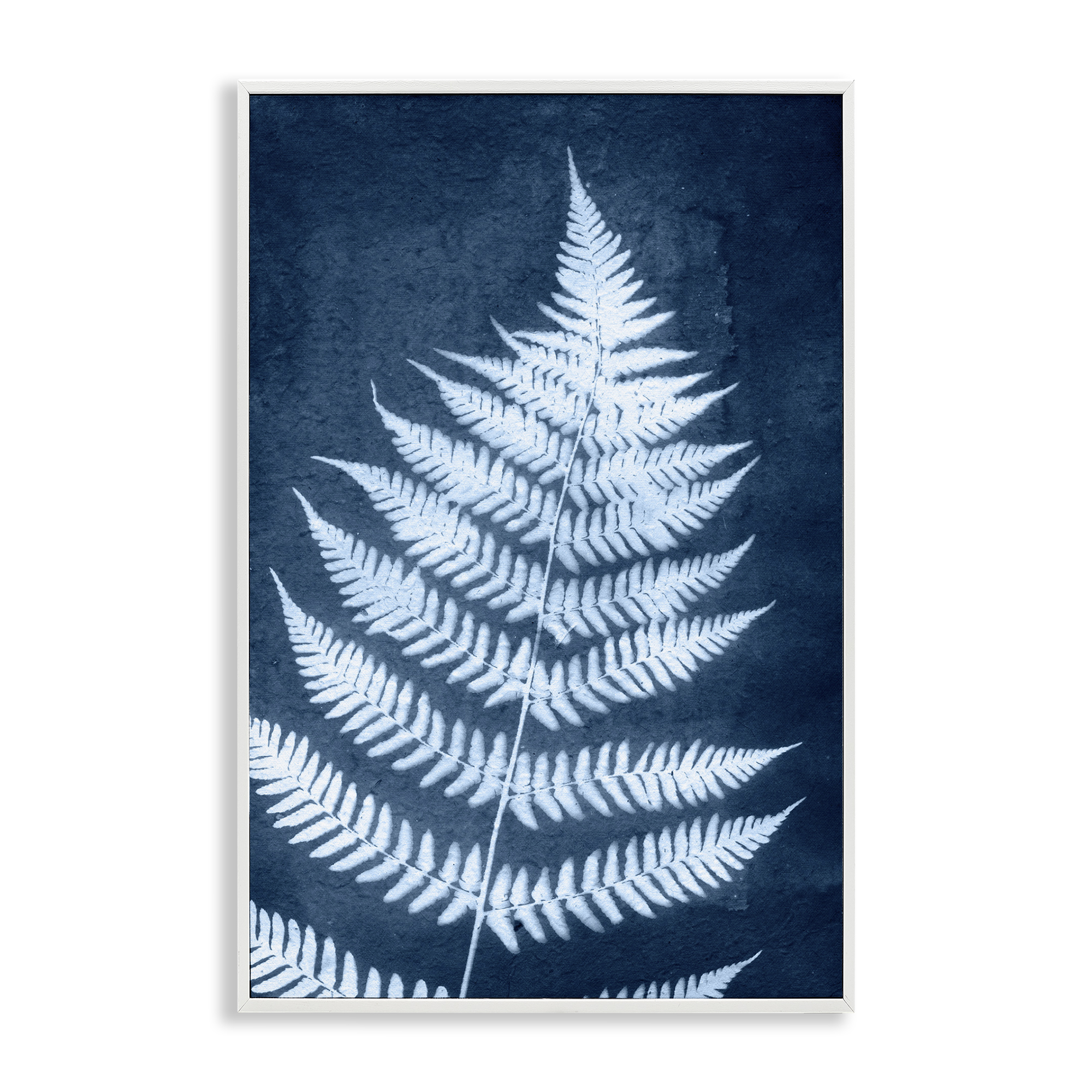 Stupell Industries Blue Natural Fern Botanical & Floral Painting White ...