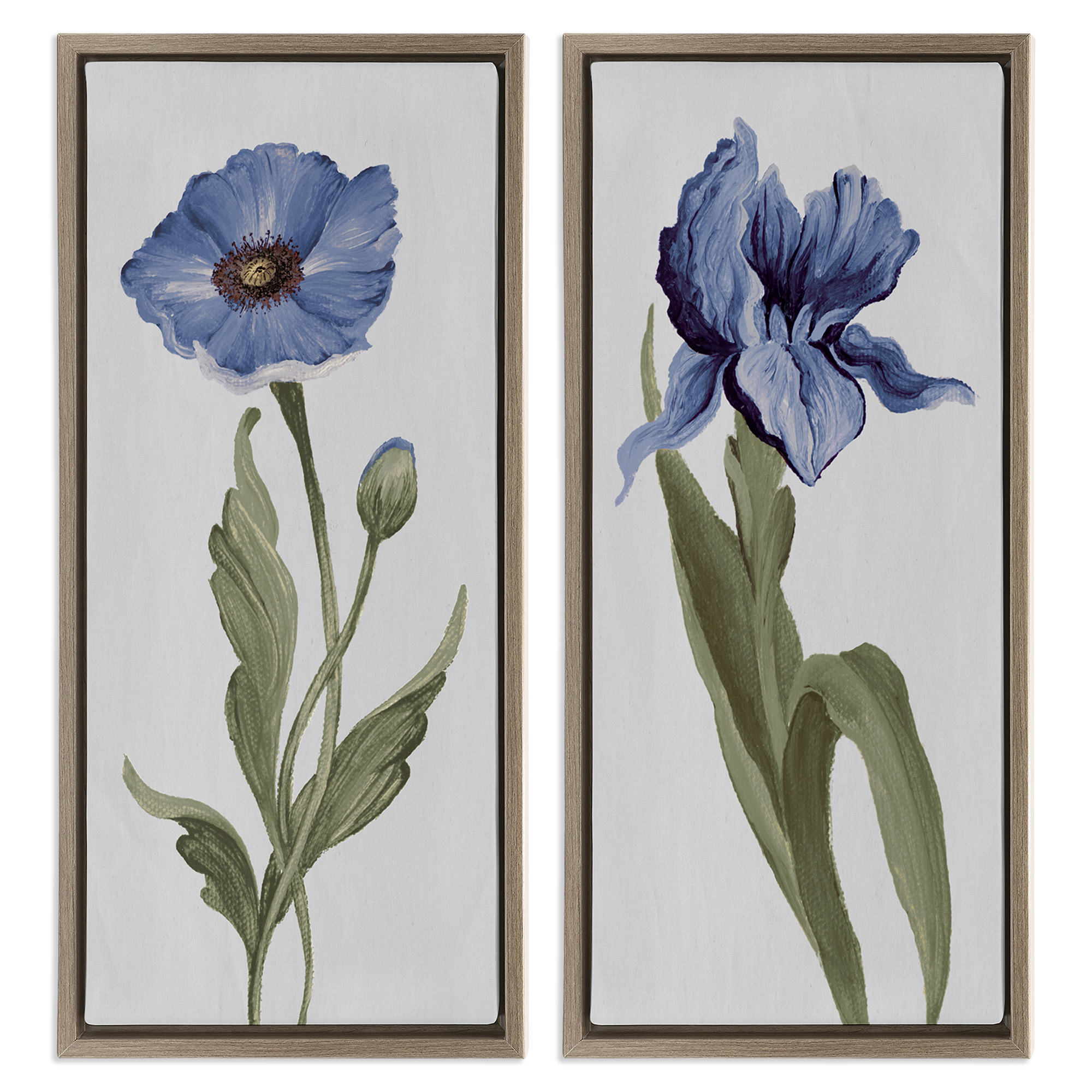 Stupell Industries Blue Poppy and Iris Flowers Plants & Flowers ...
