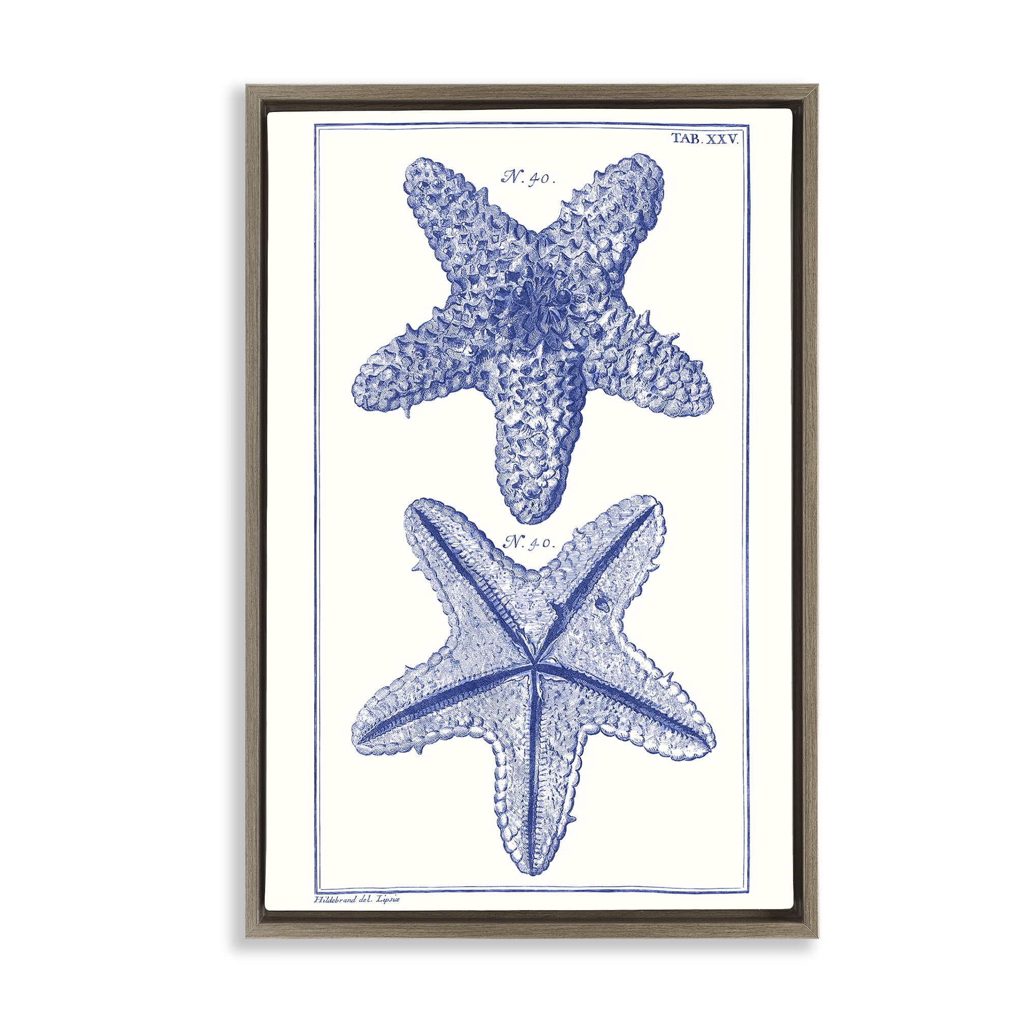 Stupell Industries Blue Starfish Studies Animals & Insects Painting ...
