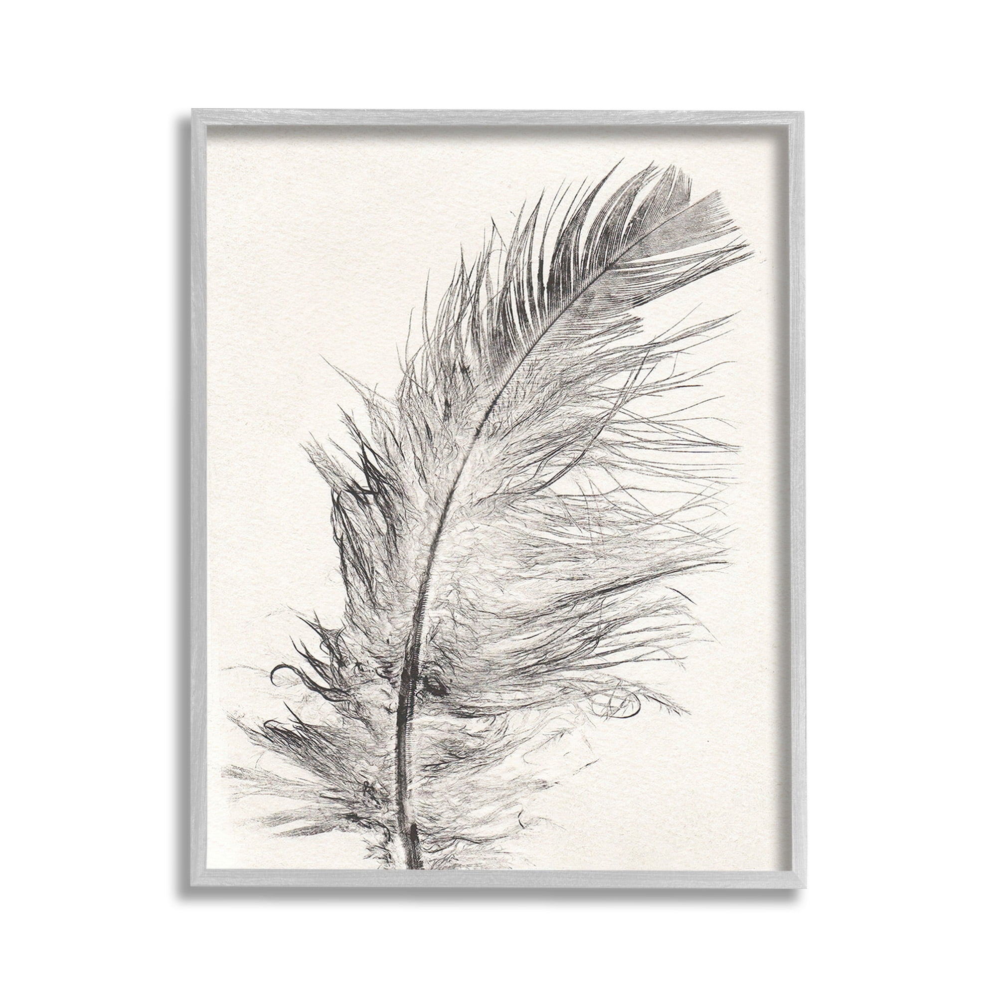 Stupell Industries Boho Windswept Feather Animals & Insects Painting ...