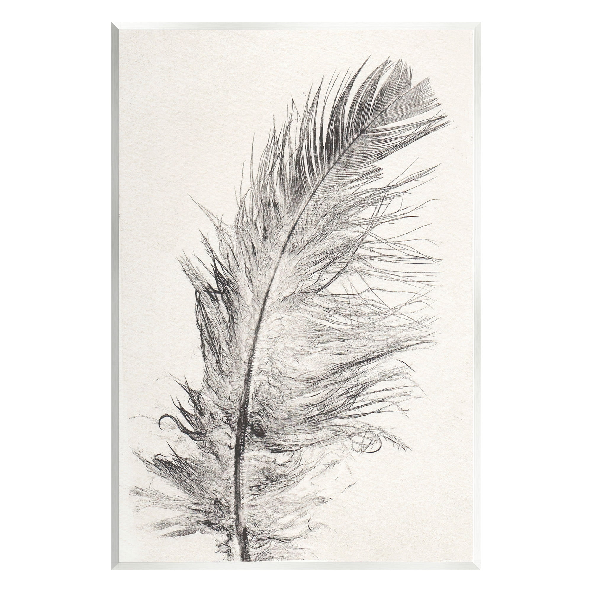 Stupell Industries Boho Windswept Feather Animals & Insects Painting ...