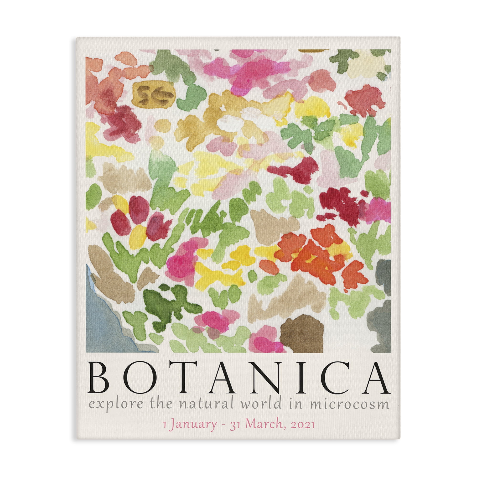 Stupell Industries Botanica Abstract Florals Plants & Flowers Painting ...