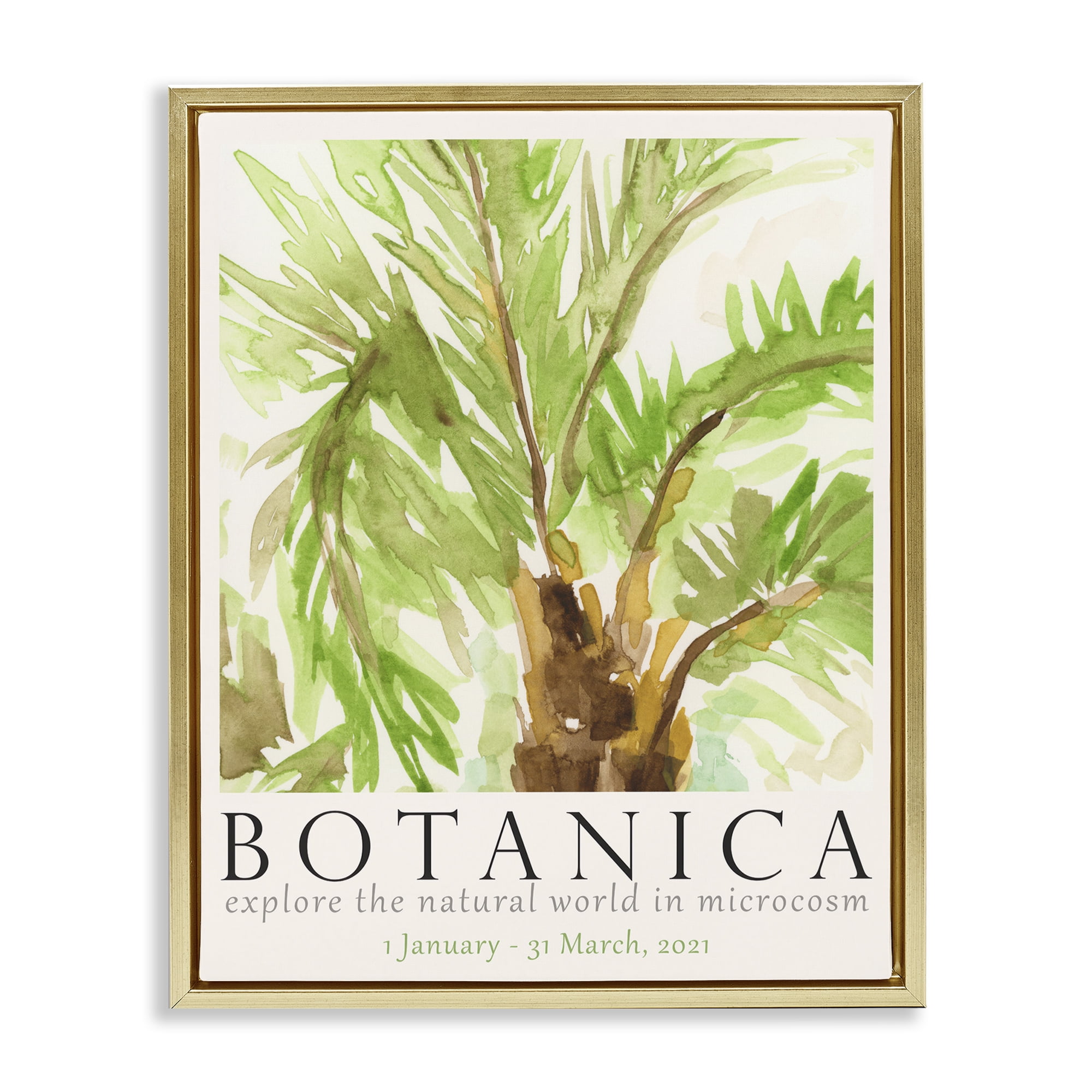 Stupell Industries Botanica Poster Palm Tree Plants & Flowers Painting ...