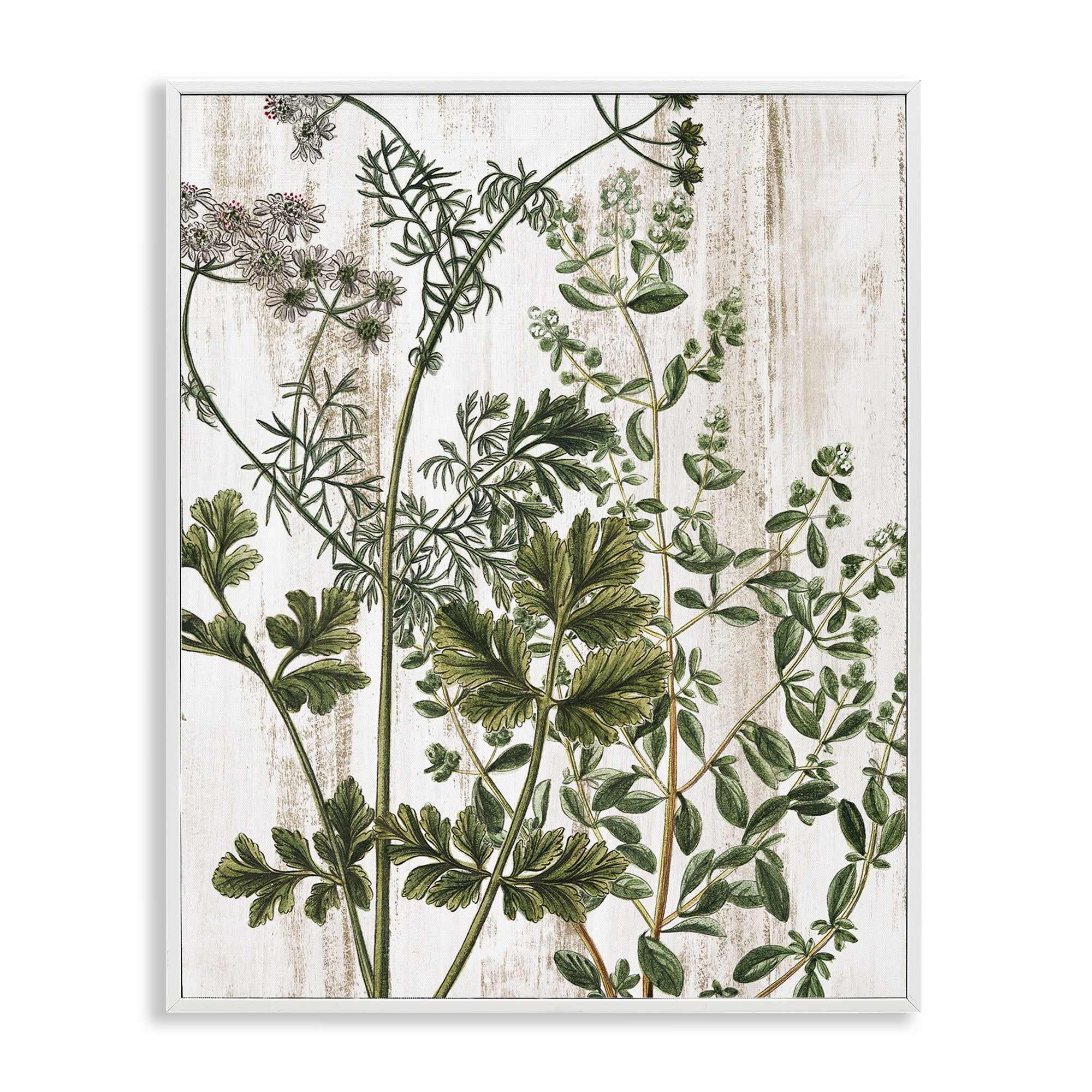 Stupell Industries Botanical Greenery Pattern Botanical & Floral ...