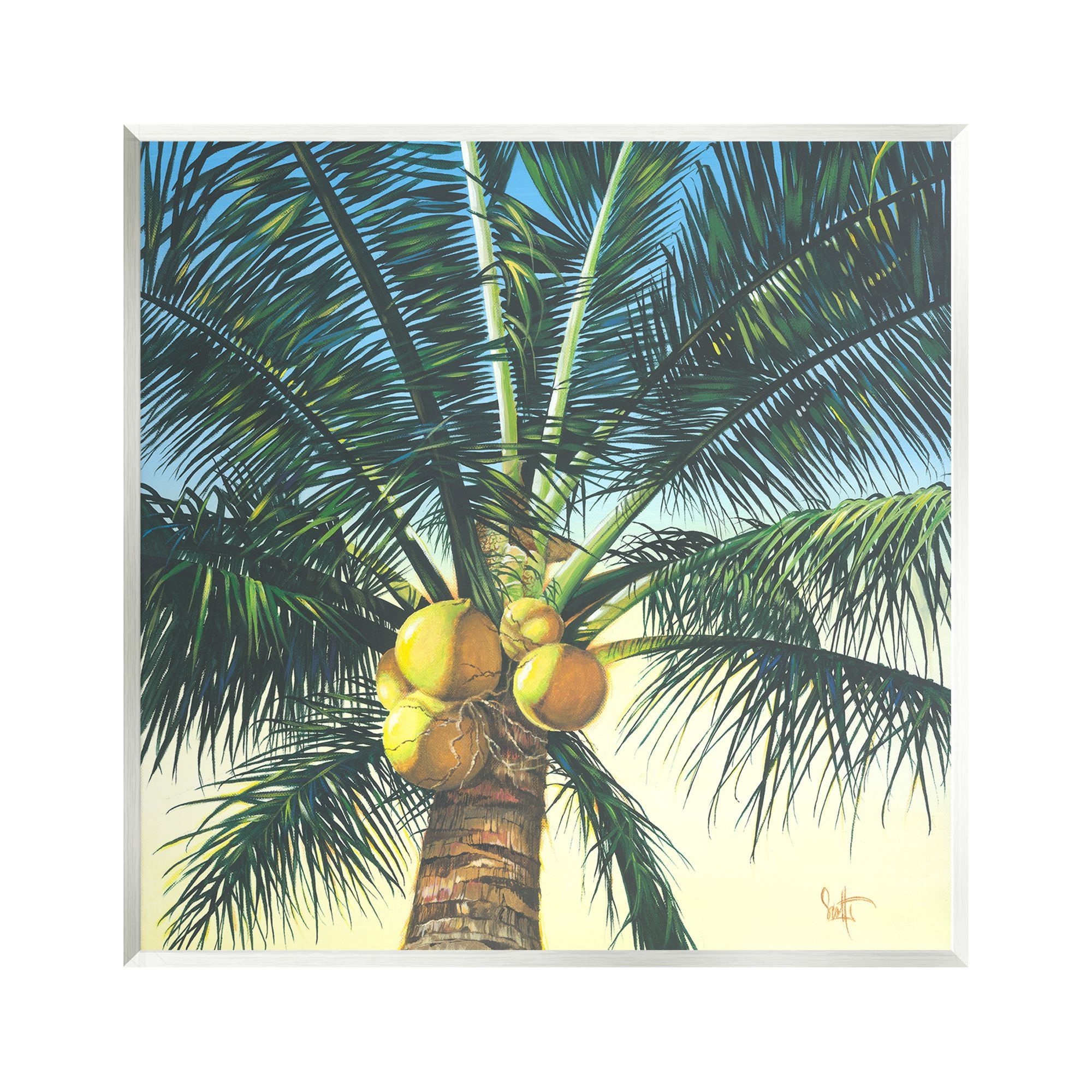 Branching Patterns In Nature