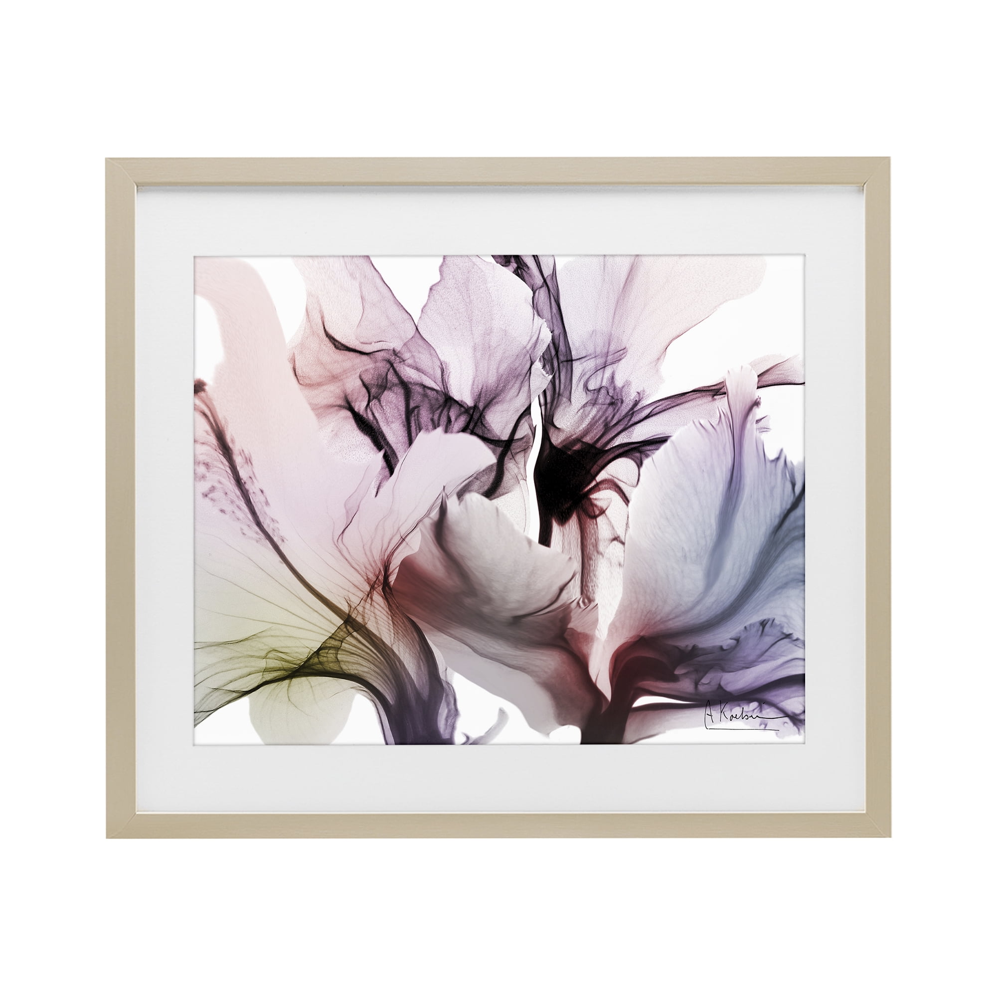 Stupell Industries Brilliant Song Flower Petals Birch Framed Print ...