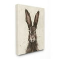 Stupell Industries Brown European Rabbit Hare Portrait Painting Canvas ...