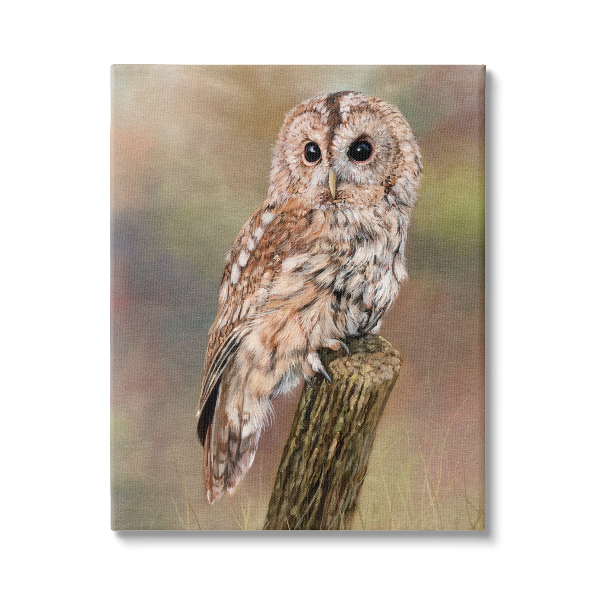 Stupell Industries Brown Tawny Owl Perched Intricate Woodland Wildlife ...
