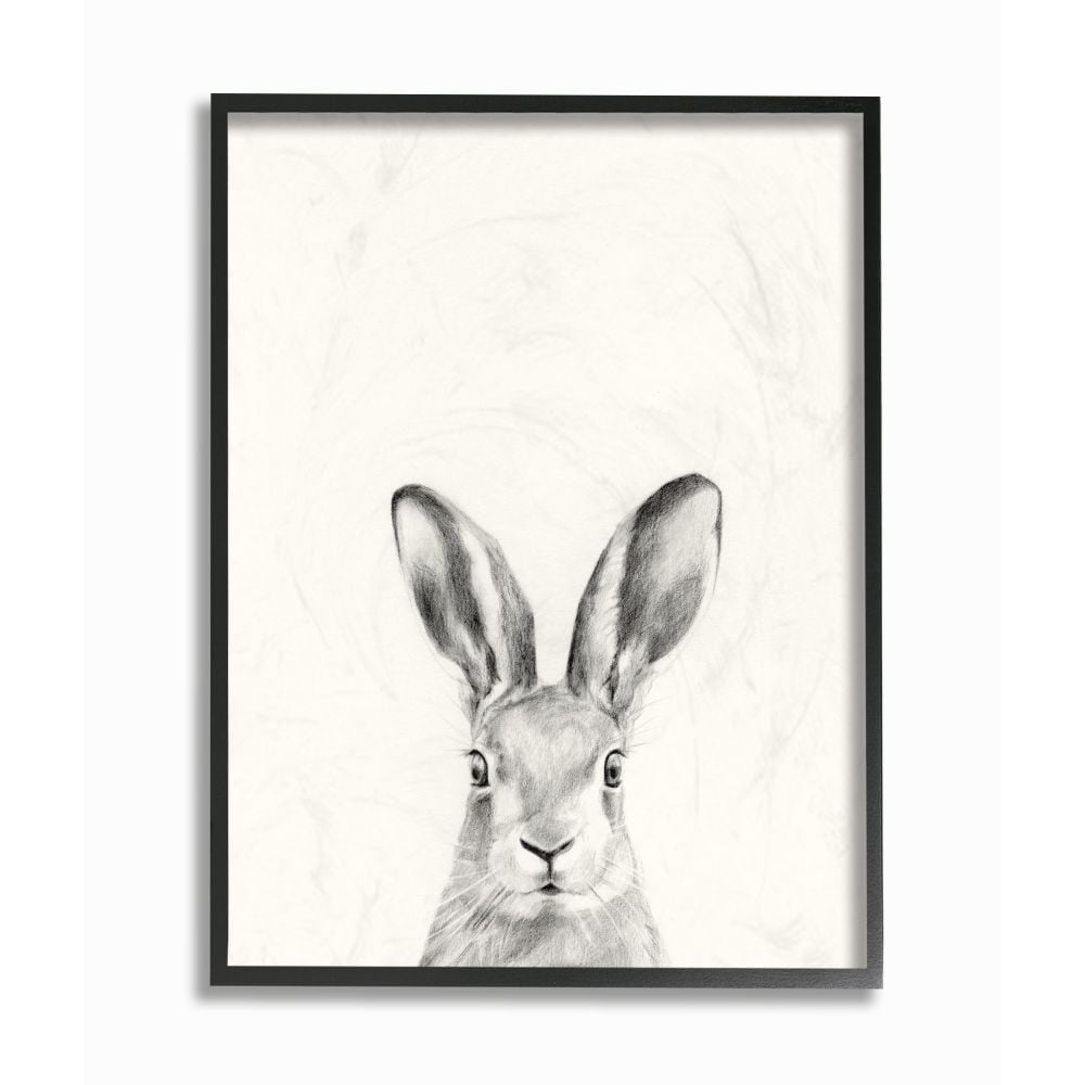 Stupell Bunny Rabbit Wall Art - 11 x 14 Inch Frame - Walmart.com