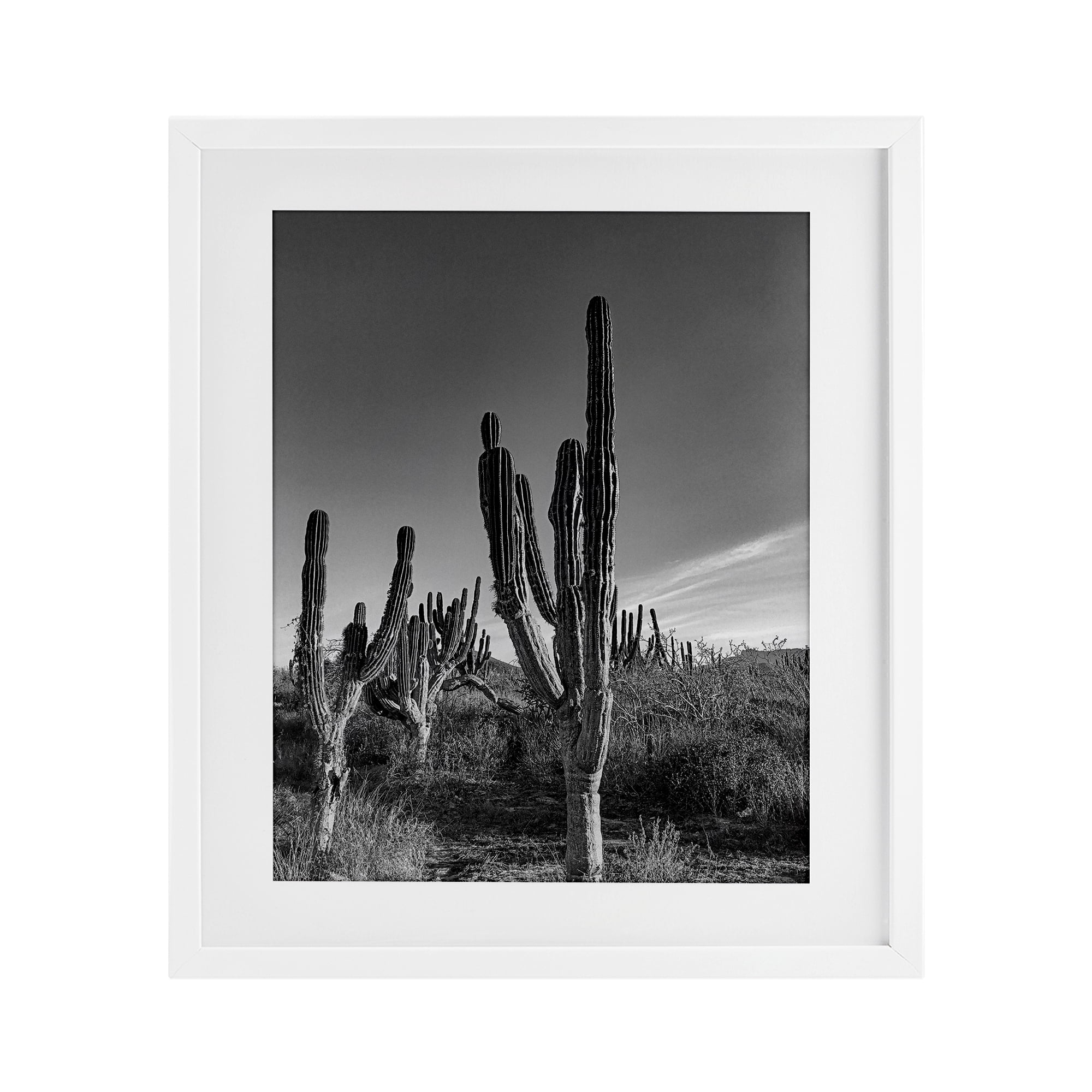 Stupell Industries Cactus Field & Vast Sky White Framed Print Under ...