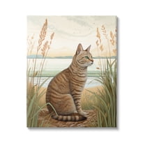 Balanced Life Cat & Dog Funny Animals & Insects Graphic Art Gallery ...