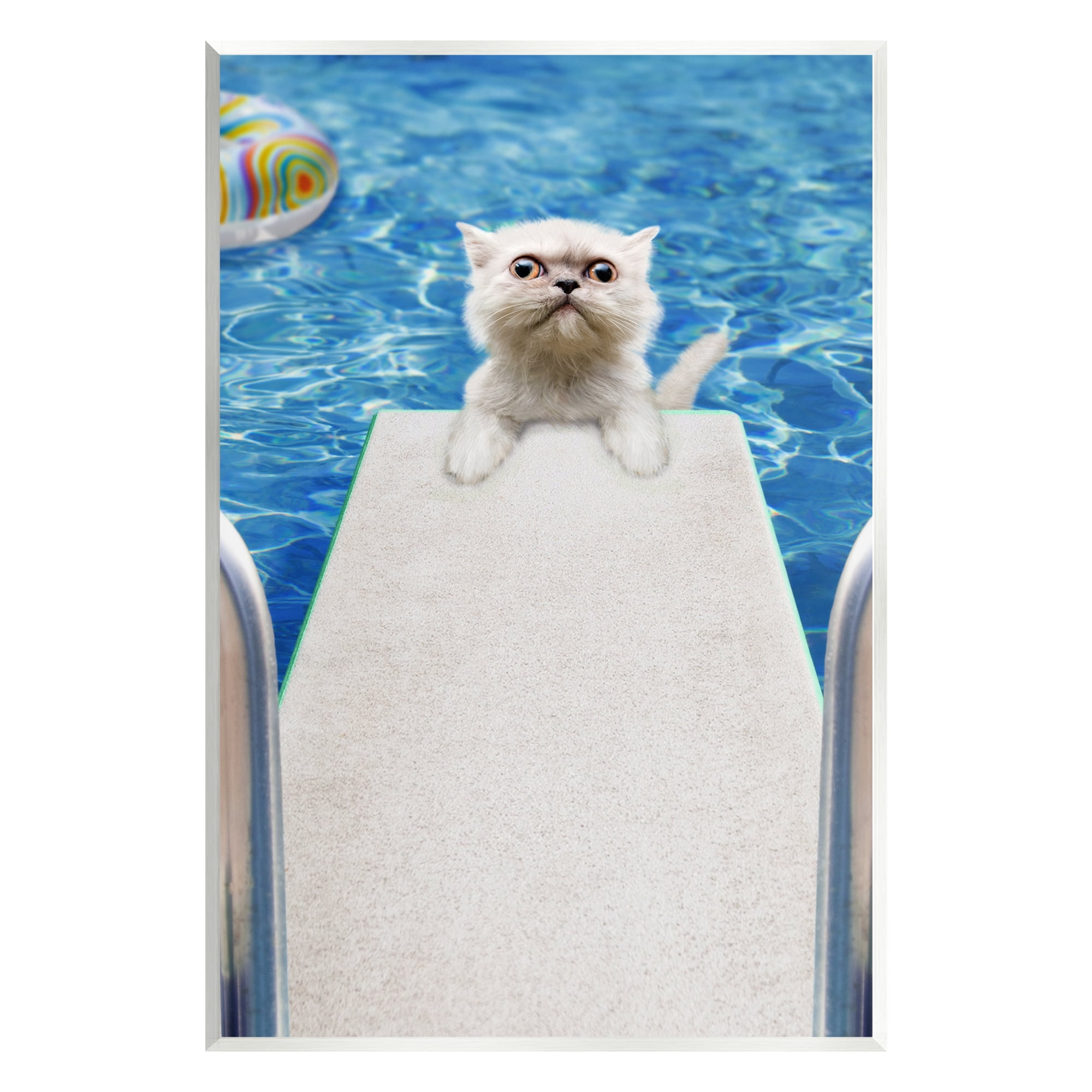 Stupell Industries Cat on Diving Board Animals & Insects Painting ...