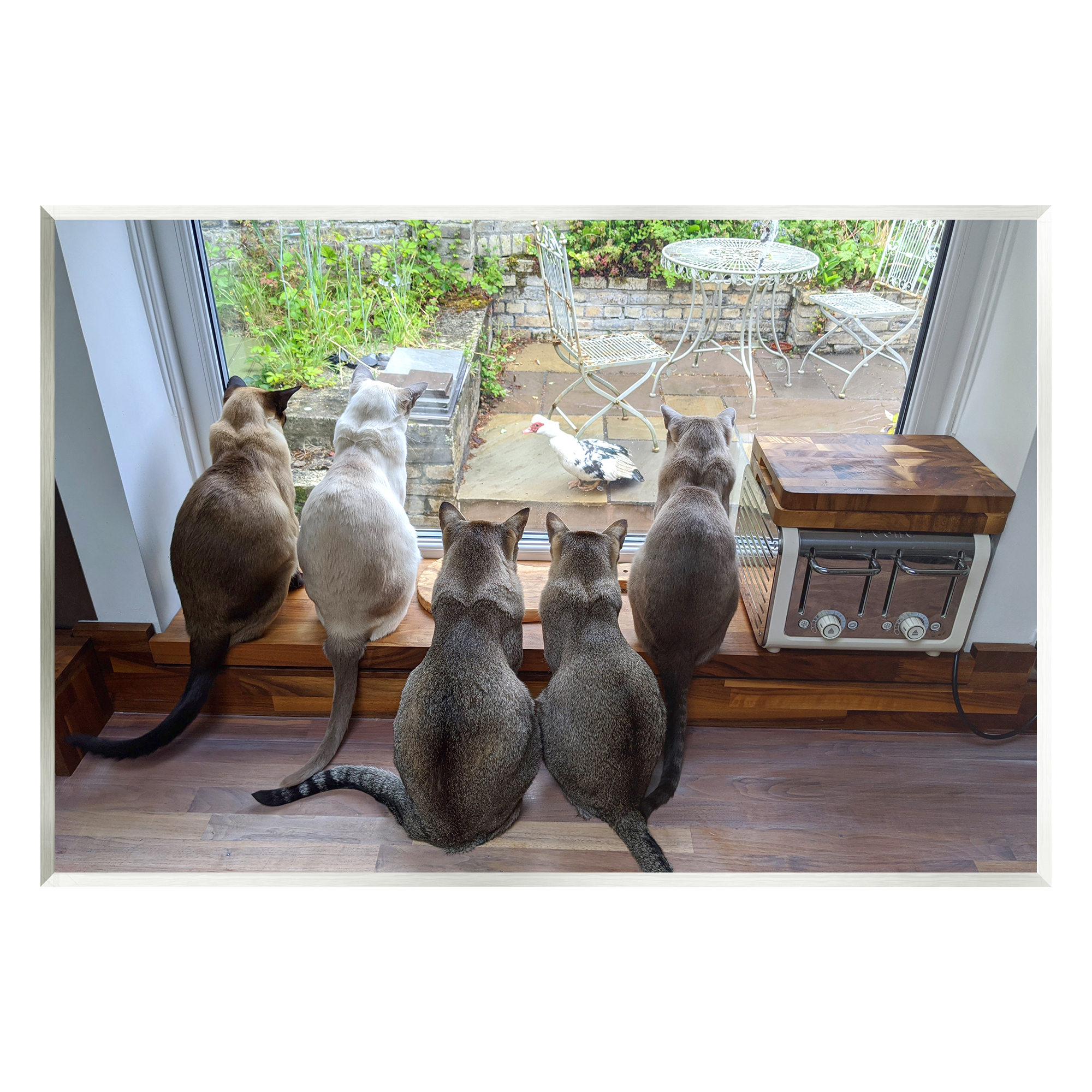 Stupell Industries Cats Watching Bird at Window Unframed Lithograph ...