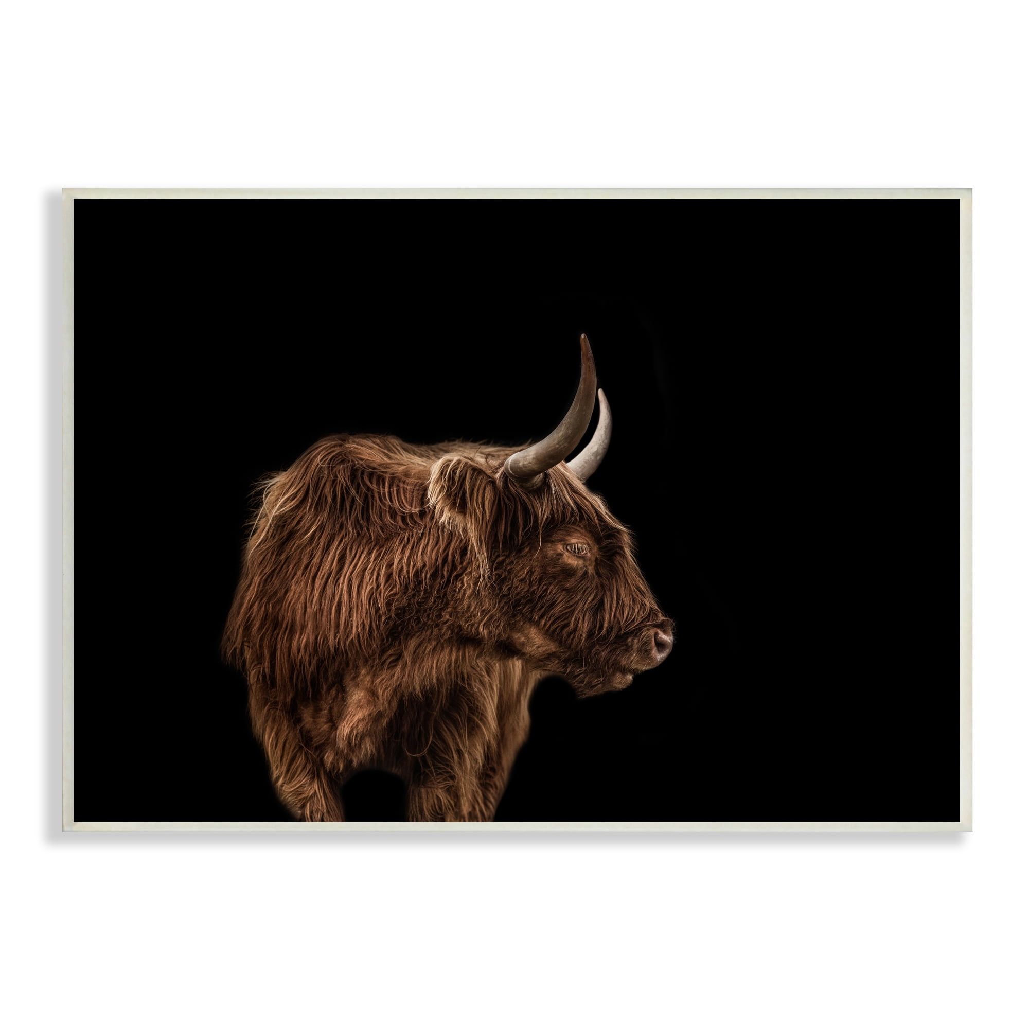 Stupell Industries Cattle Side Portrait Minimal Modern Farm Animals ...
