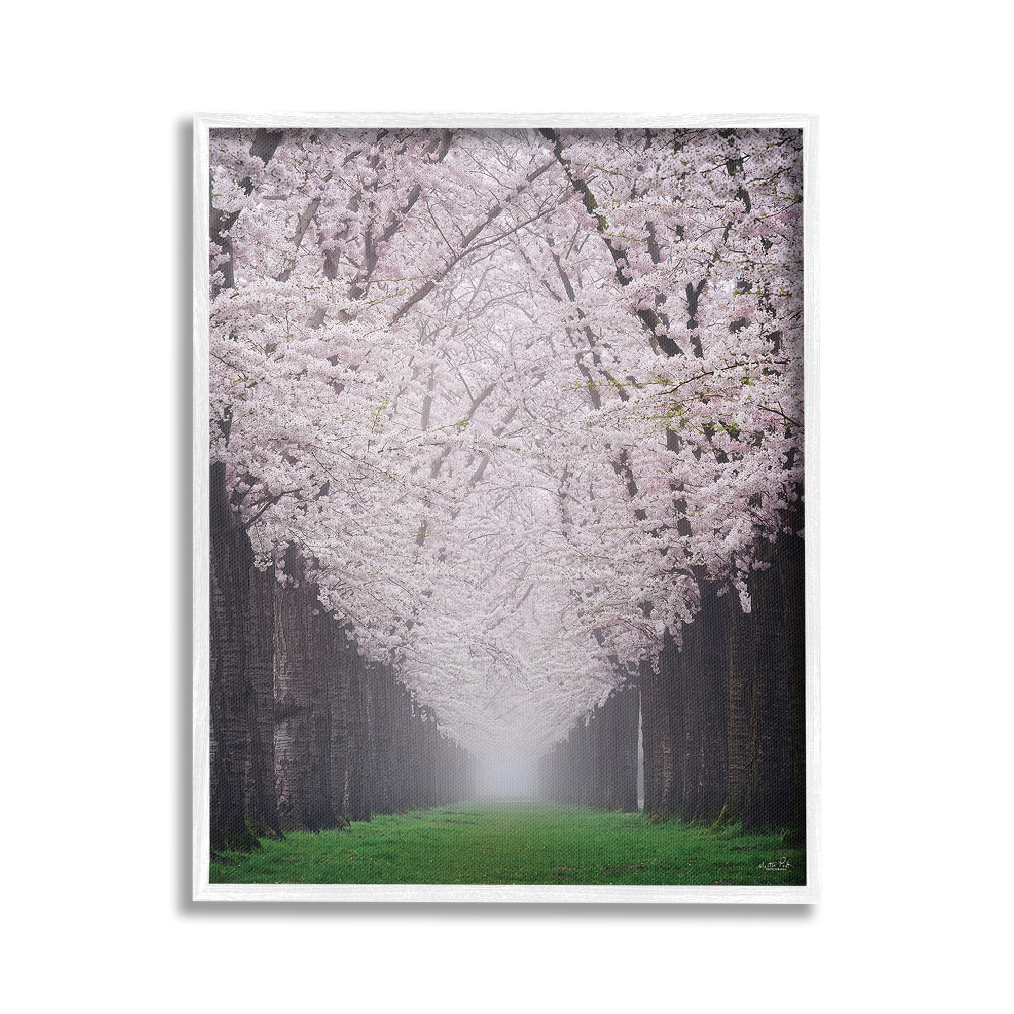 Stupell Industries Cherry Blossom Grove Landscape Photography White ...