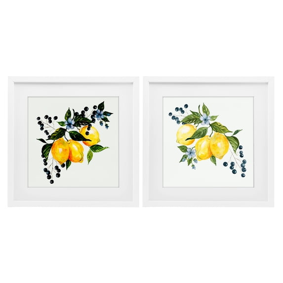 Stupell Industries Citrus & Berries Cluster 2 Piece White Framed Print ...