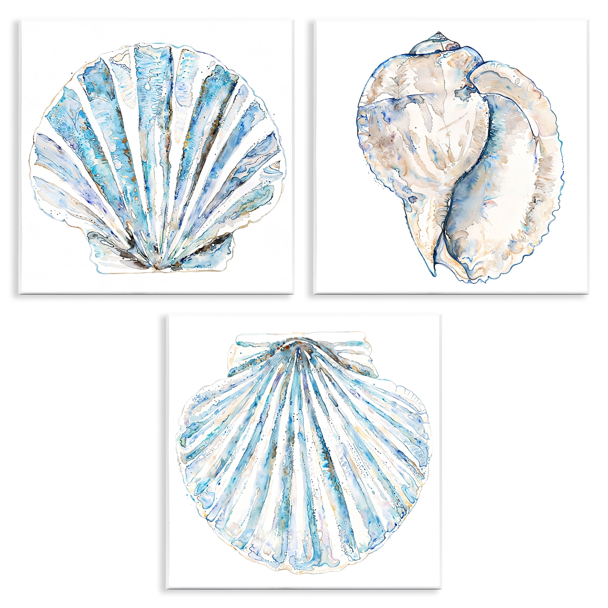 Stupell Industries Clam & Conch Watercolors Nautical & Beach Painting ...