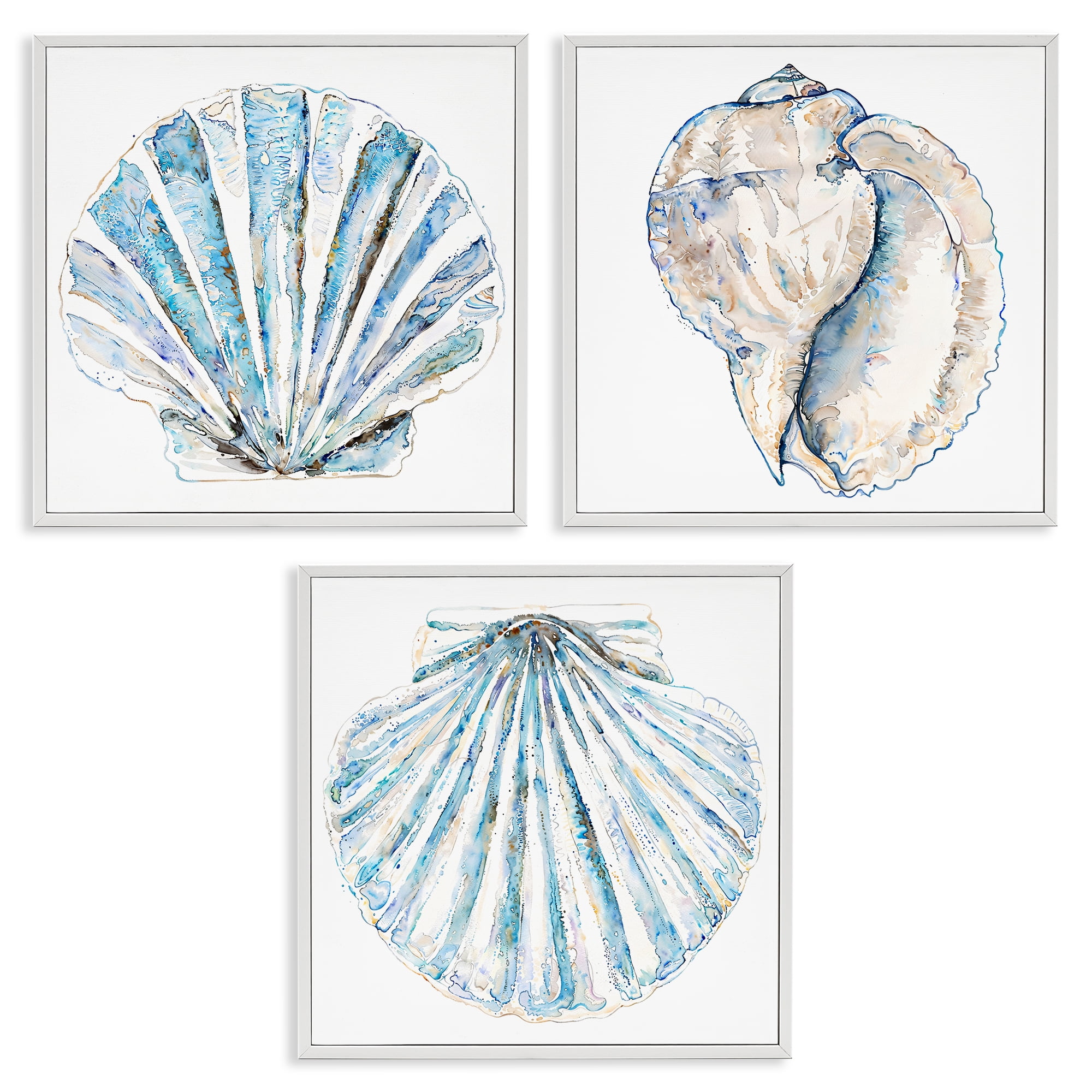 Stupell Industries Clam & Conch Watercolors Nautical & Beach Painting ...