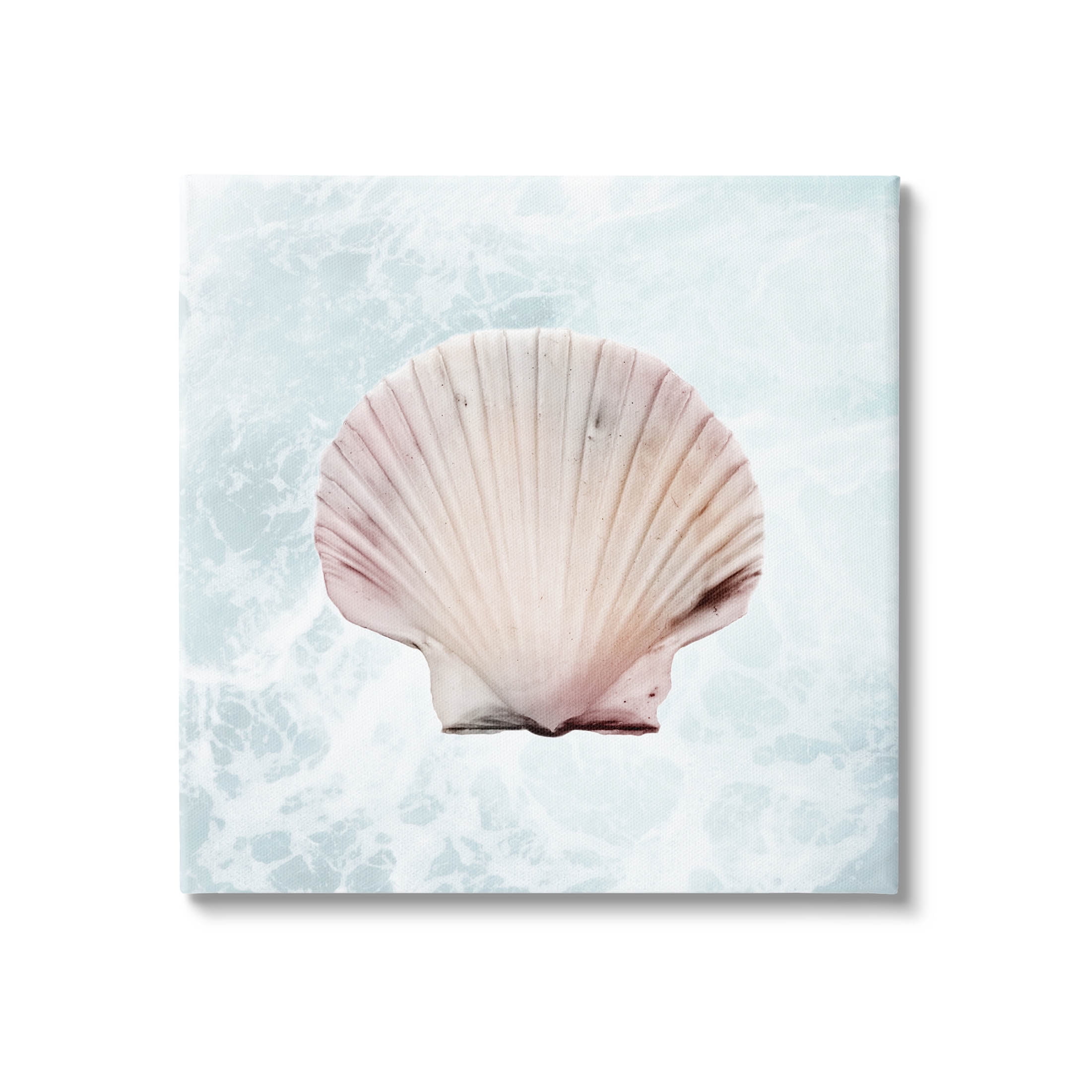 Stupell Industries Clam Shell Sea Water Graphic Art Gallery Wrapped ...