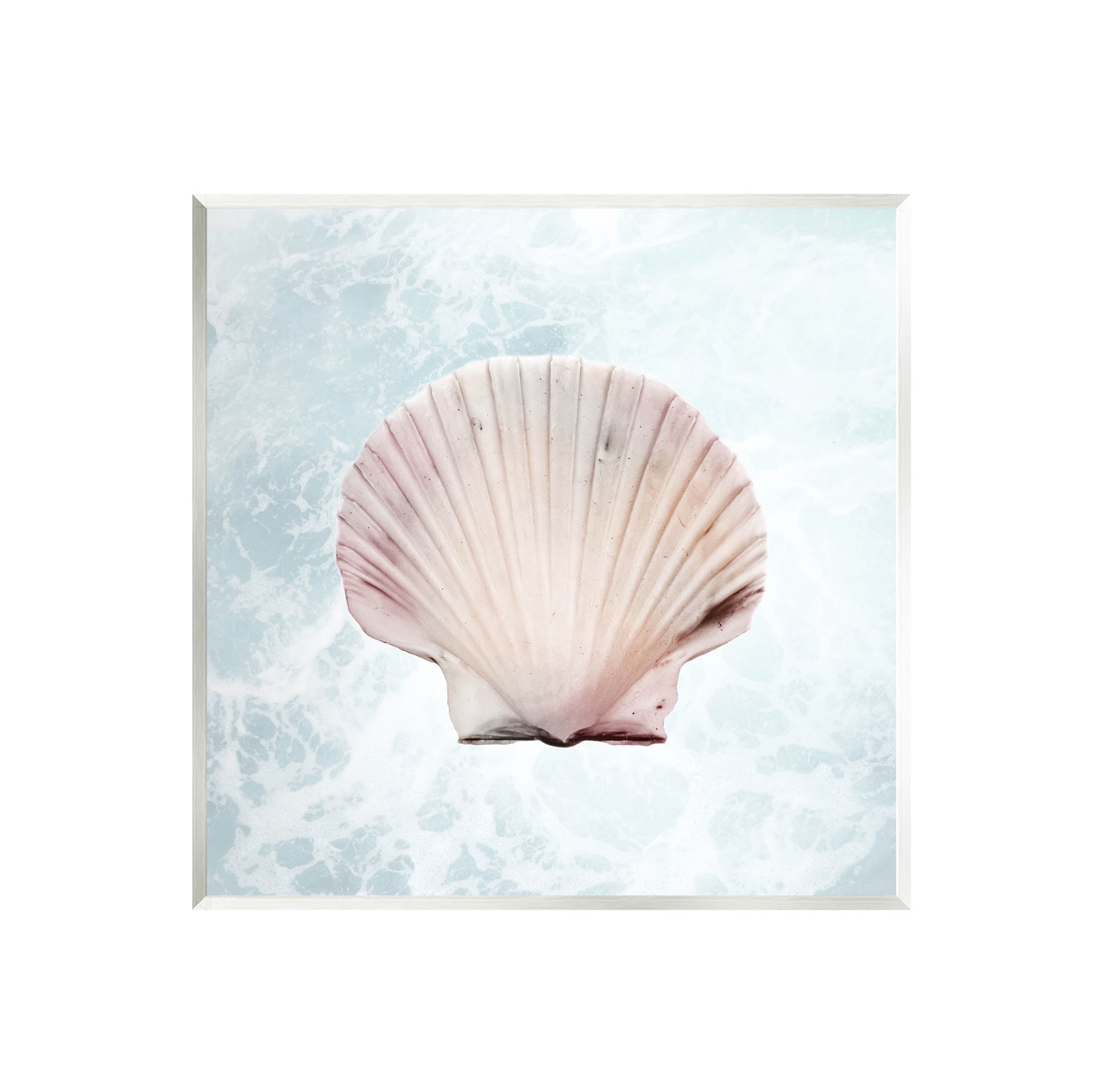 Stupell Industries Clam Shell Sea Water Graphic Art Unframed Art Print ...