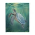 Stupell Industries Coastal Beach Sea Turtle Canvas Wall Art, design by ...