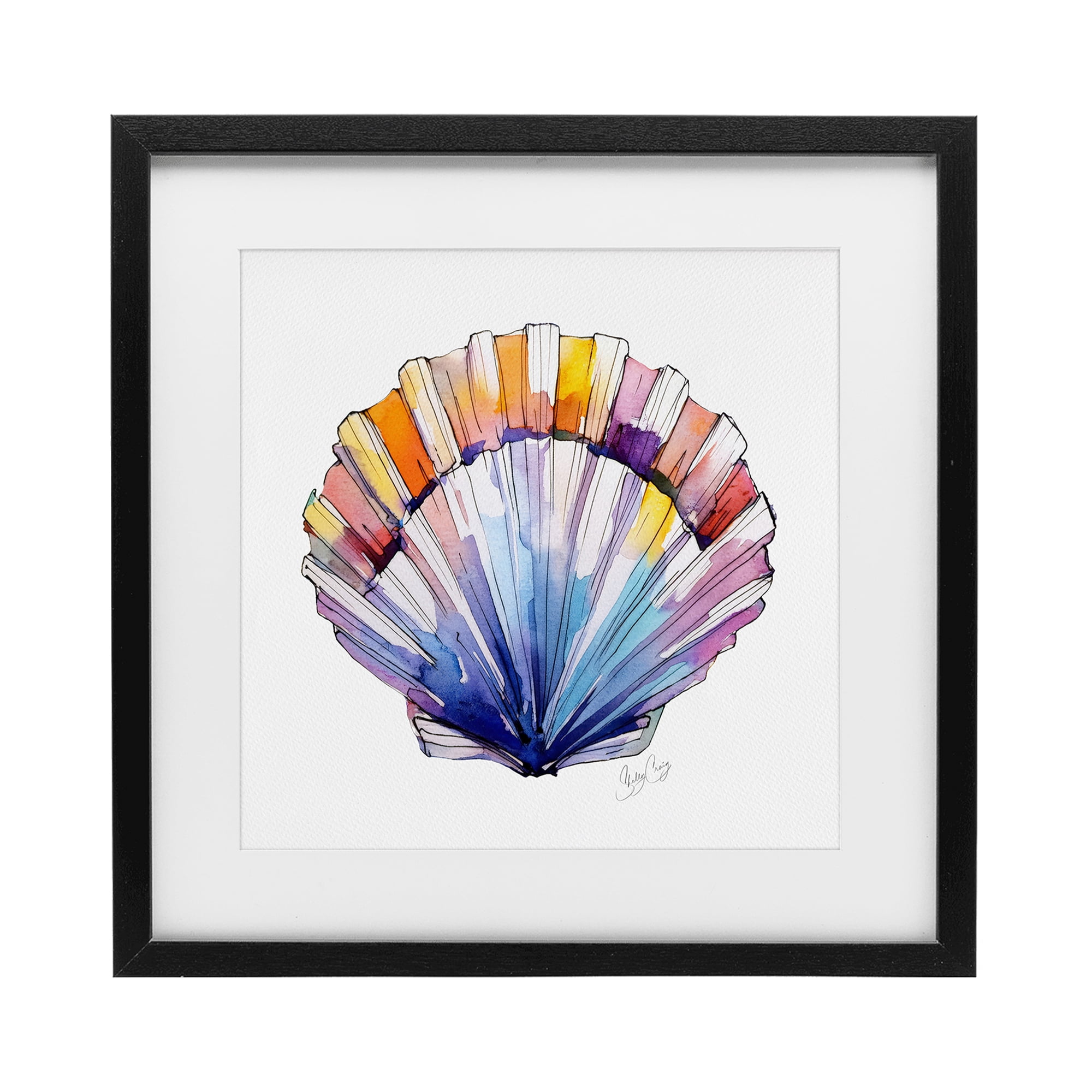 Stupell Industries Coastal Scallop Watercolor Black Framed Print Under ...