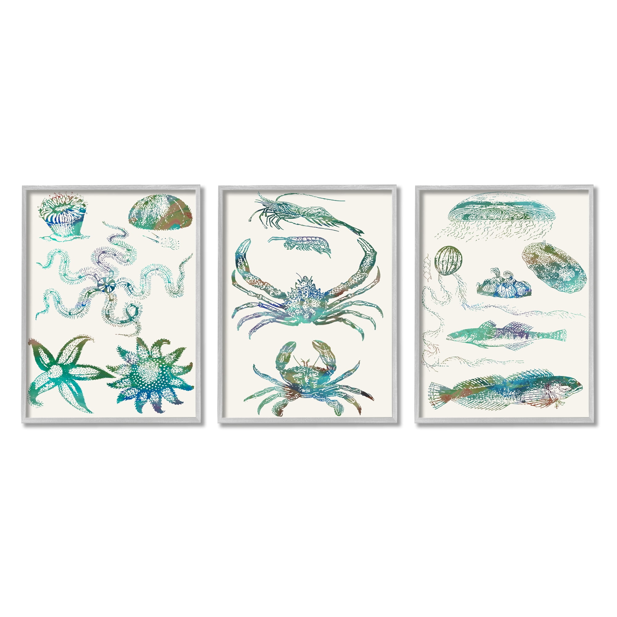 Stupell Industries Collage of Blue Aquatic Creatures Ocean Life Grey ...