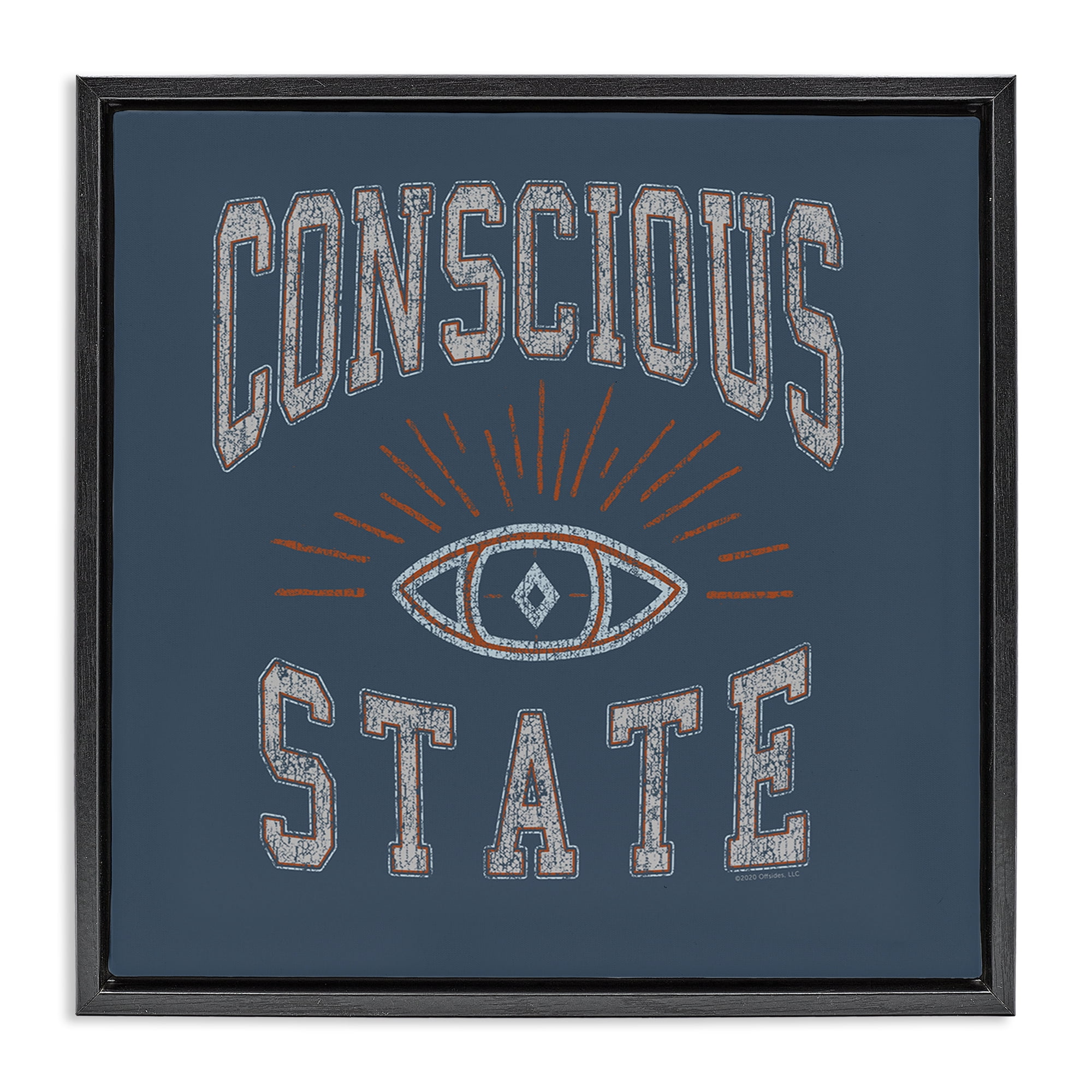 Stupell Industries Conscious State Varsity Style Text & Numbers ...