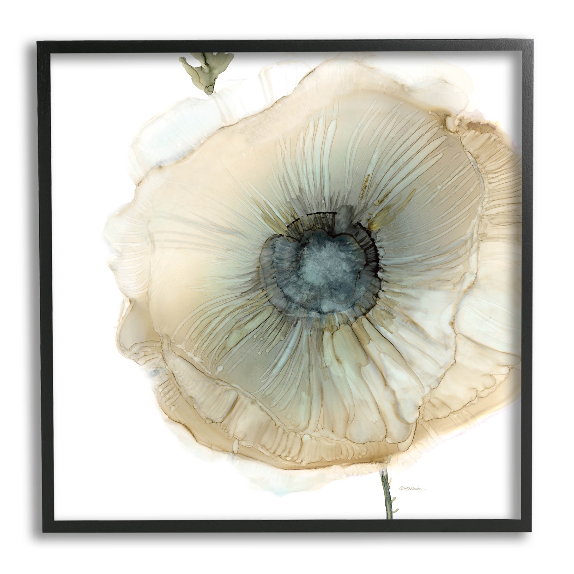 Stupell Industries Contemporary Flower Petal Poppy Blossom Graphic Art ...