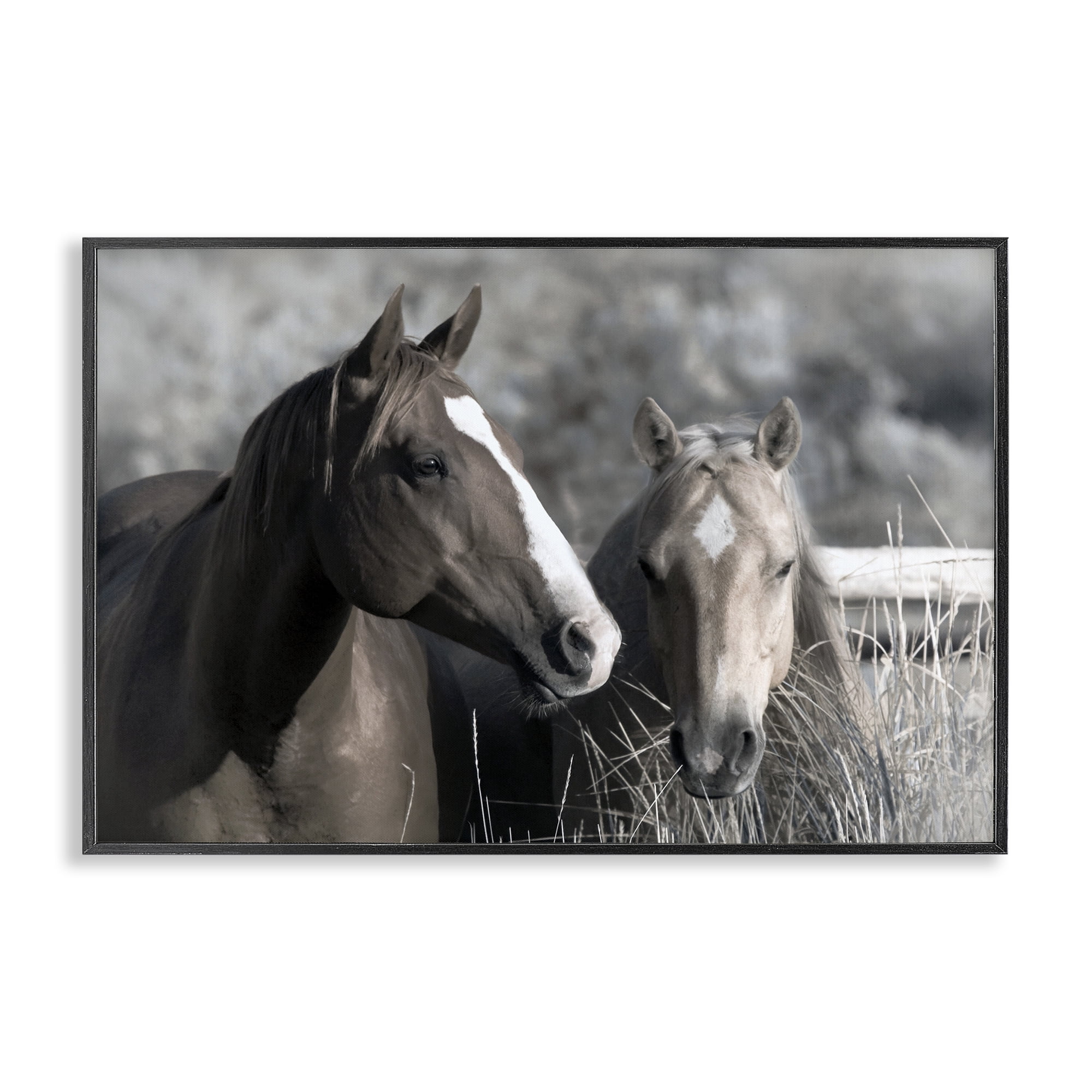 Stupell Industries Content Horses In Pasture Black Framed Giclee Art ...