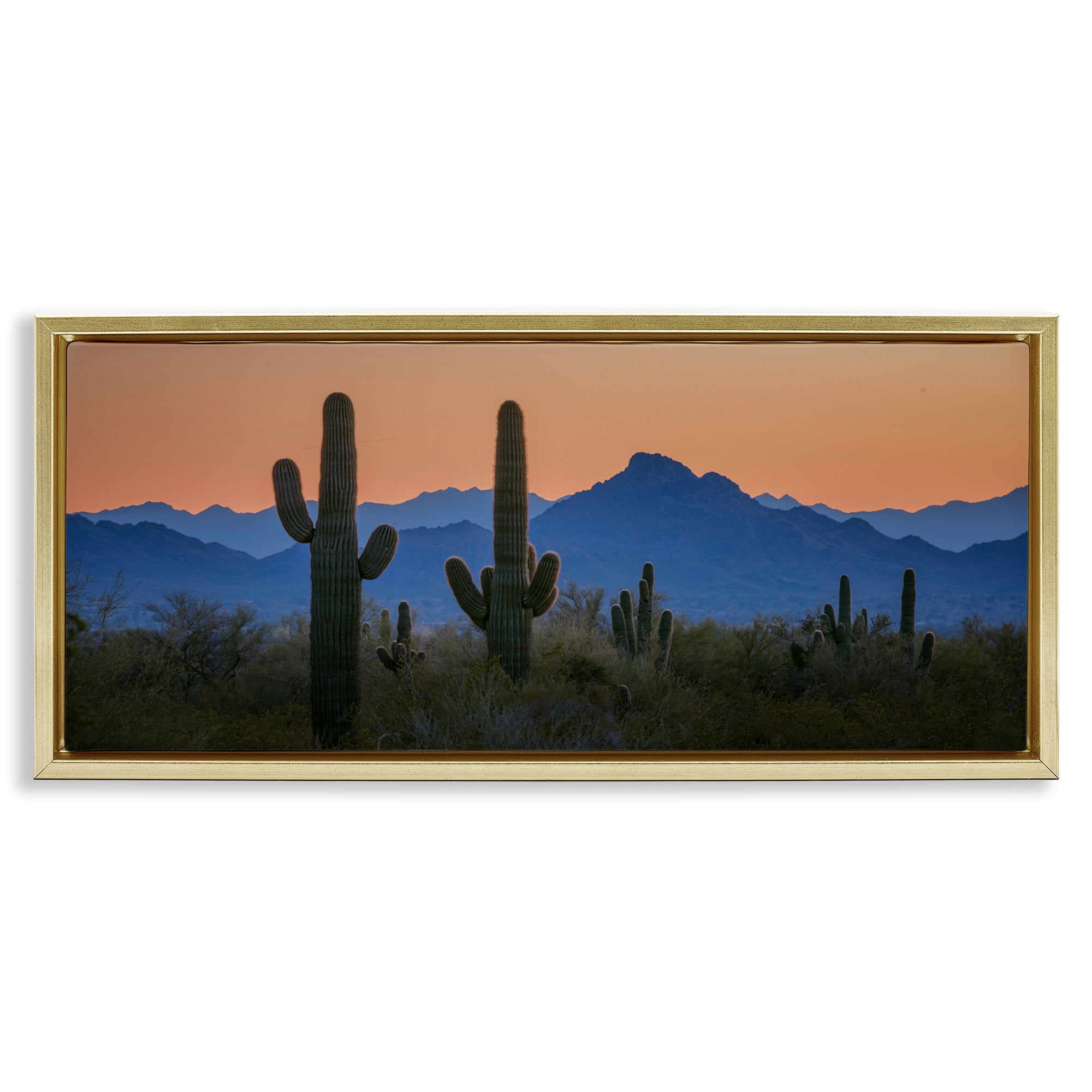 Stupell Industries Contrasting Desert Sunset Landscape & Nature ...