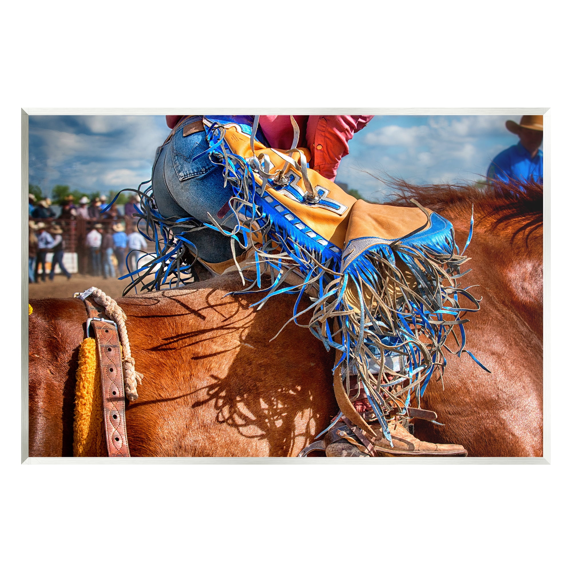Stupell Industries Cowboy at Rodeo Photography Animals & Insects ...