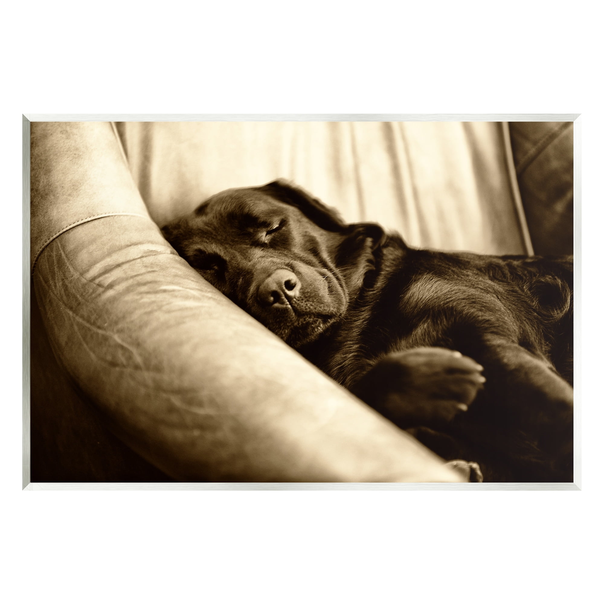 Stupell Industries Cuddling Labrador Dog Sleeping Cozy Sepia ...