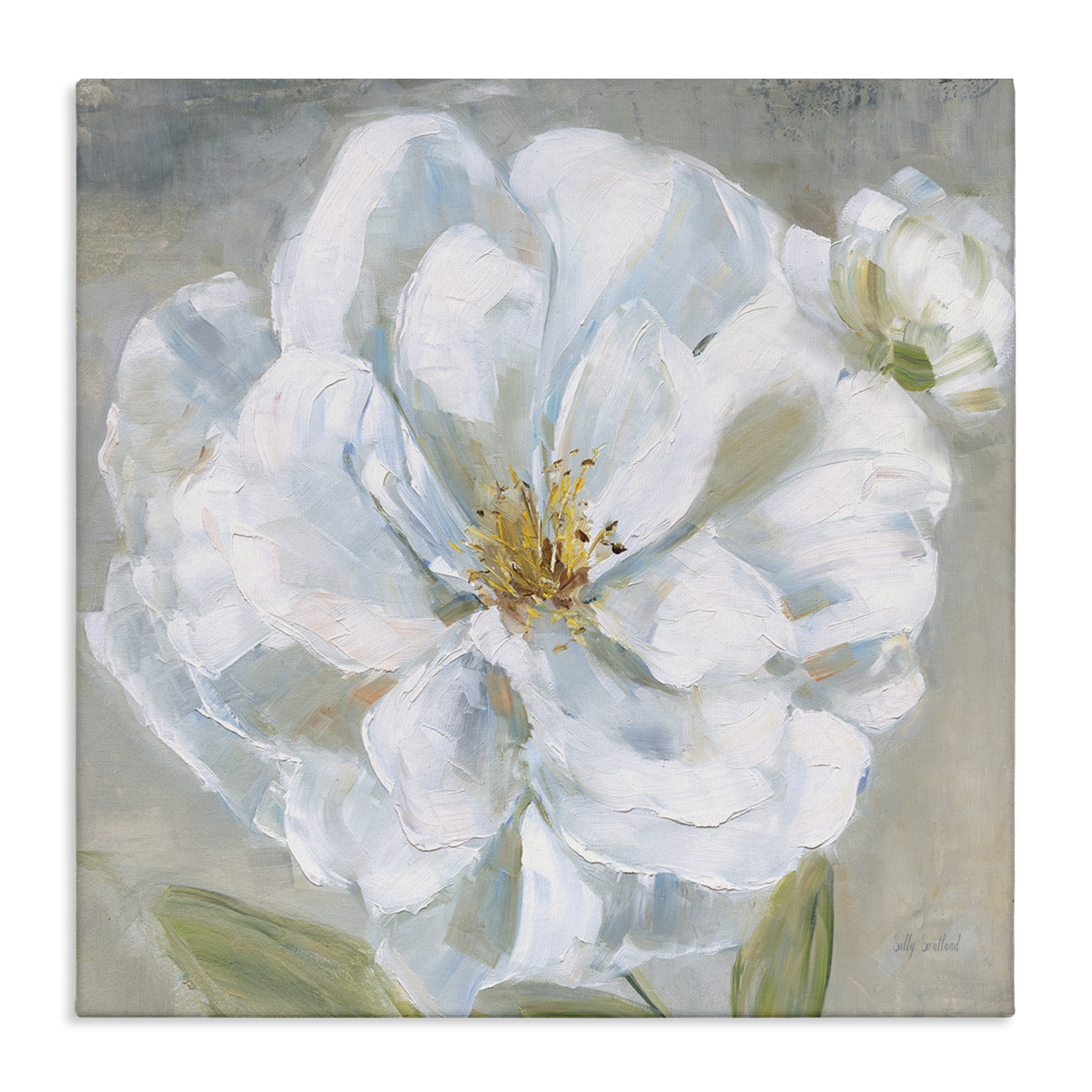 Stupell Industries Curling White Flower Petals Plants & Flowers ...