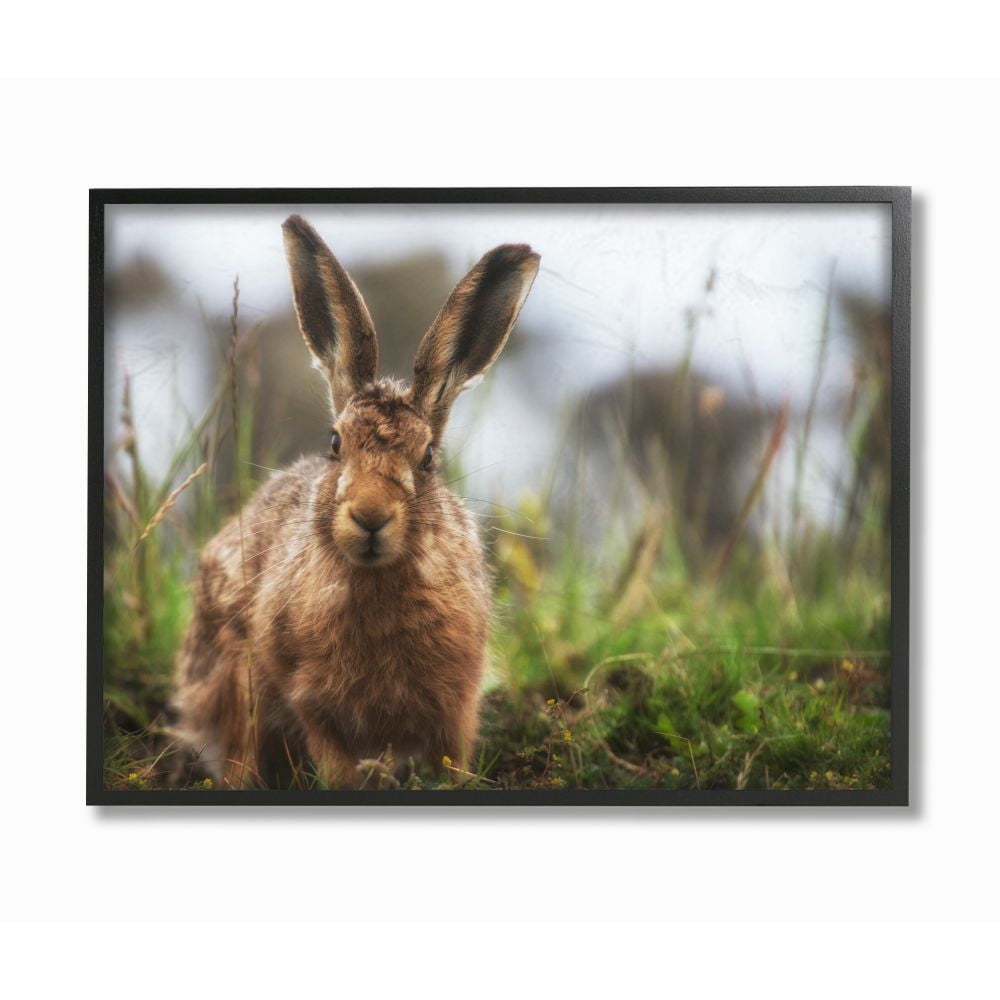 Stupell Industries Cute Bunny Farm Animal Landscape Photo Framed Giclee ...