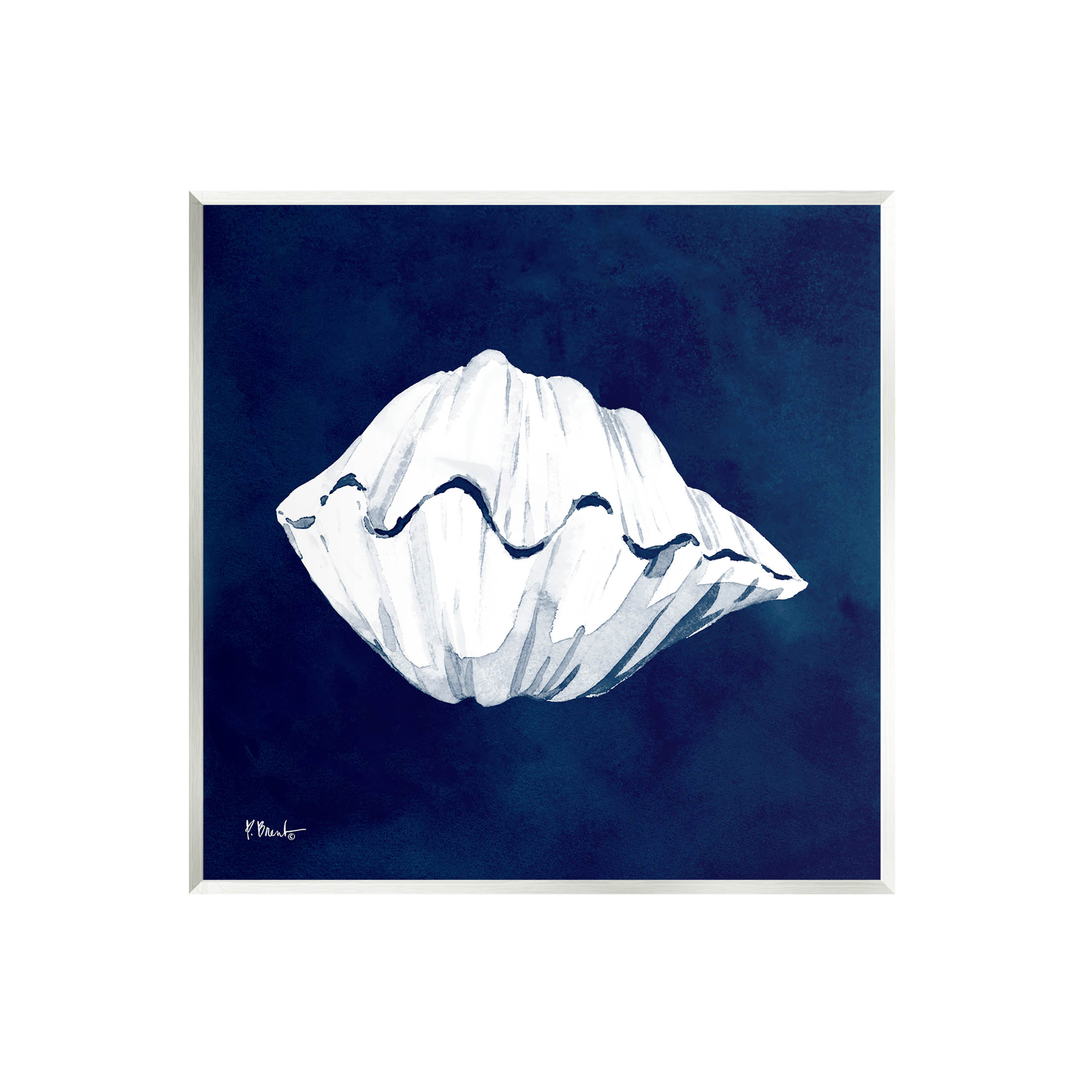 Stupell Industries Cyanotype Shells Coastal Clam Graphic Art Unframed ...