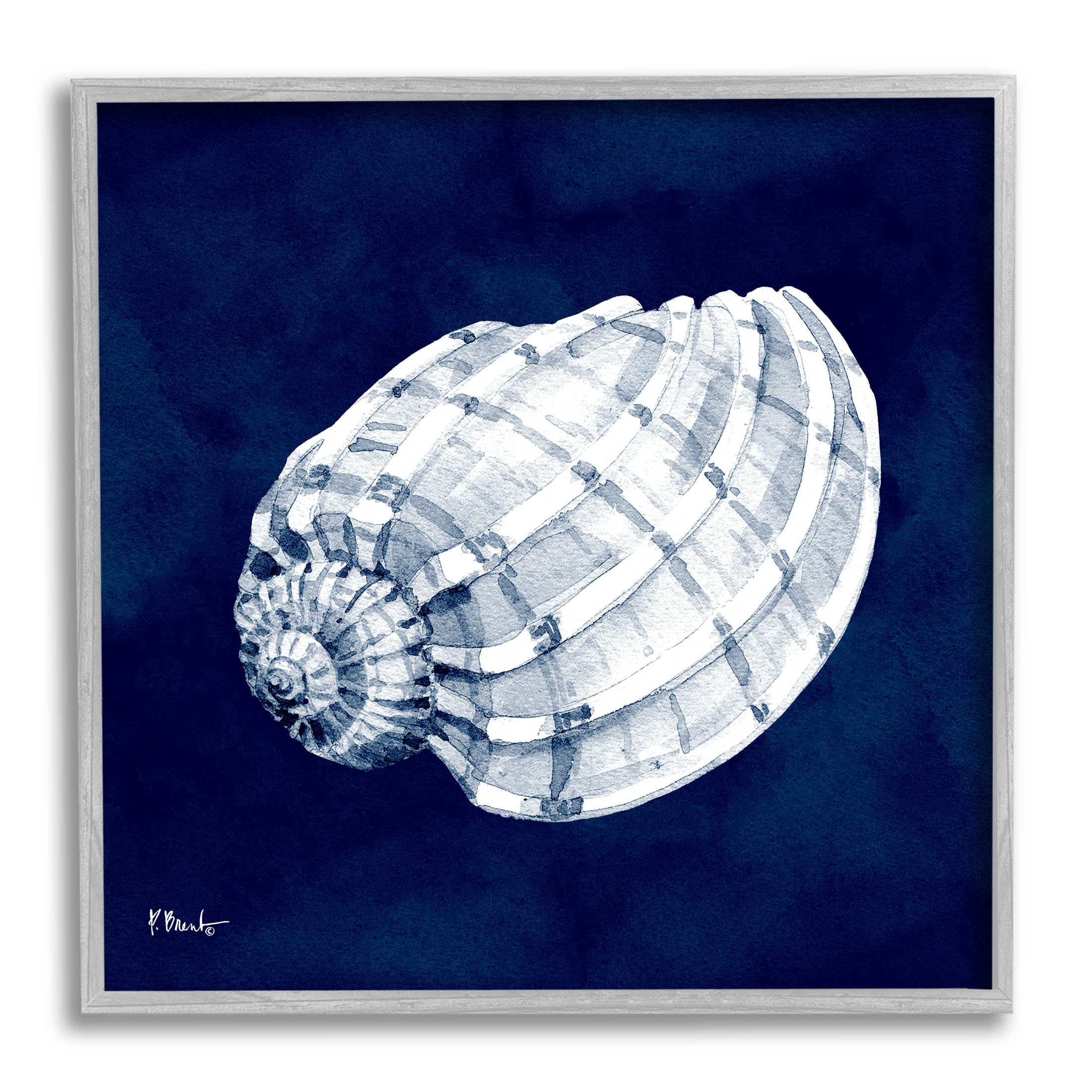 Stupell Industries Cyanotype Shells Coastal Illustration Graphic Art ...