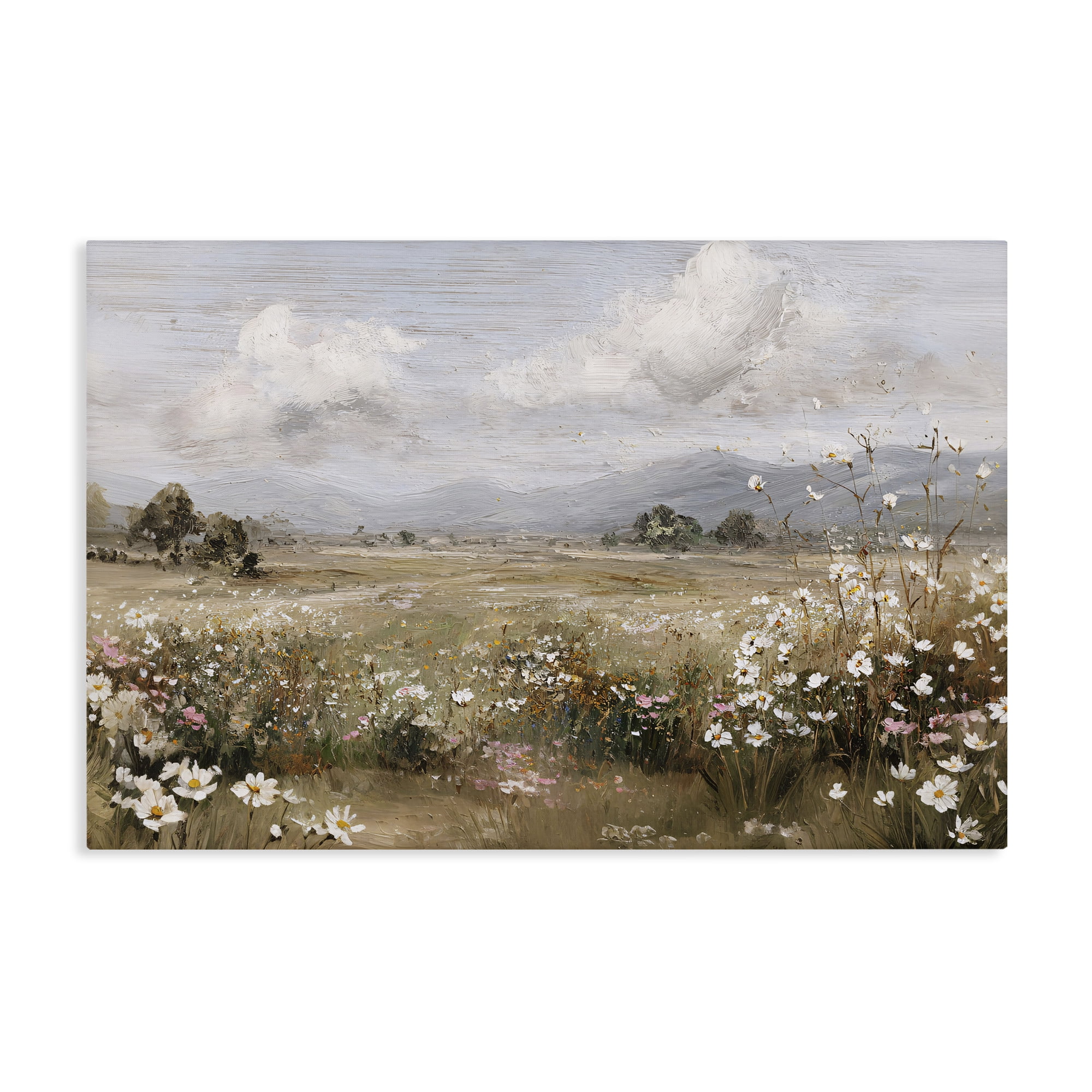 Stupell Industries Daisy Clusters in Field Canvas Wall Art, design by ...
